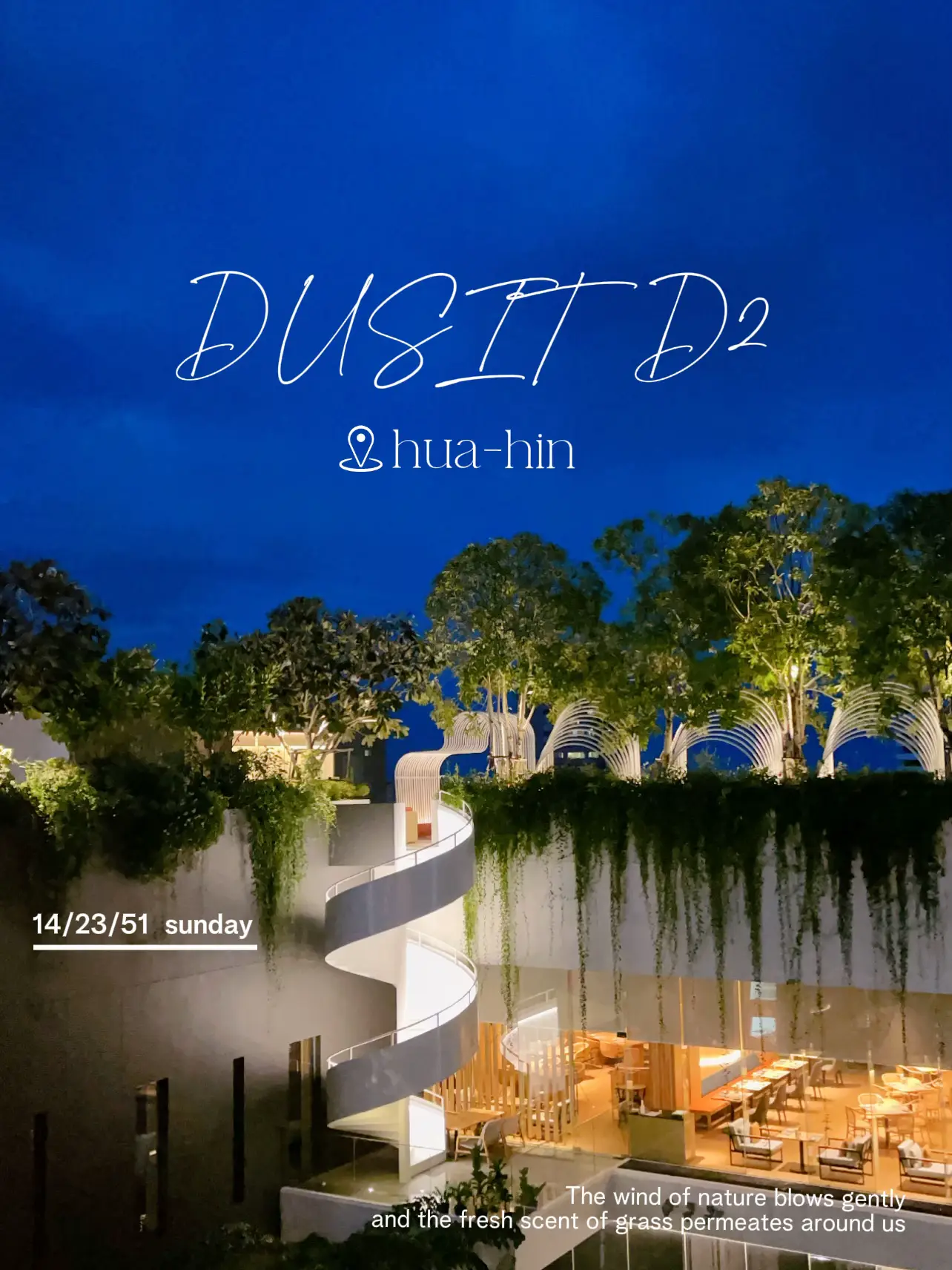 #ที่พักหรู | มาทะเลแต่ได้ฟิลลิ่งป่า @DUSIT D2 ,Hua-hin🌴🐚👀 | แกลเลอรีที่โพสต์โดย np :•) | Lemon8