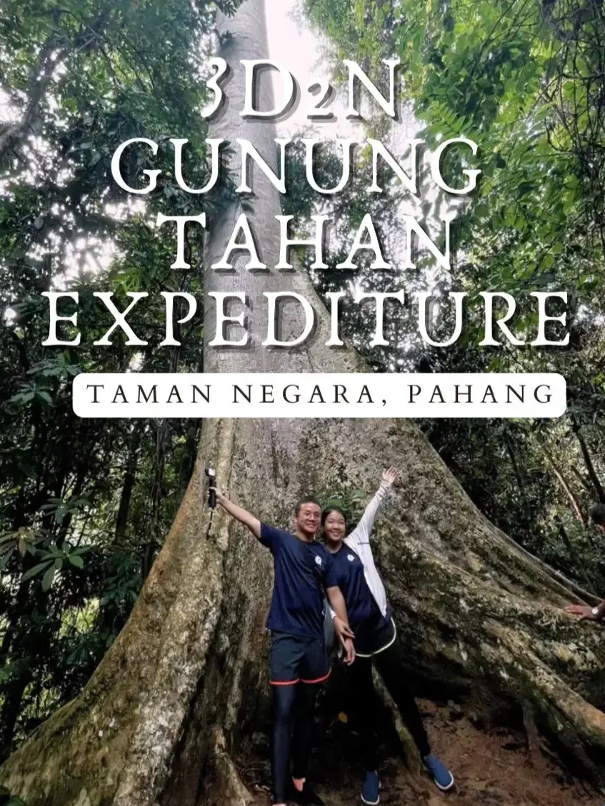 Taman Negara 🇲🇾 | 3D2N Expediture in Gunung Tahan 🗻 | Galeri disiarkan ...