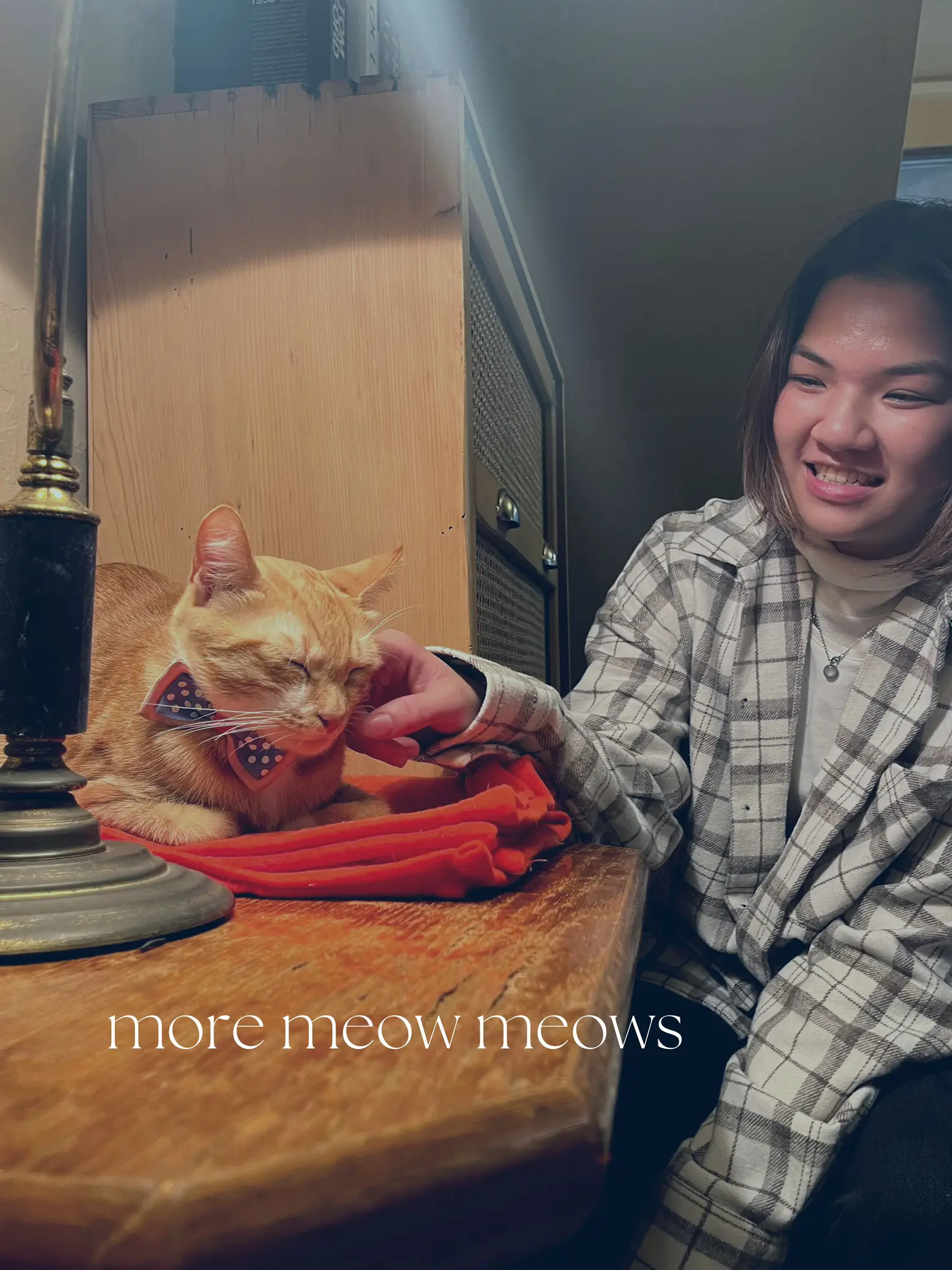 🇹🇼 Cat cafe in Taiwan: Cat Island 🏝️ | แกลเลอรีที่โพสต์โดย Chelsea | Lemon8