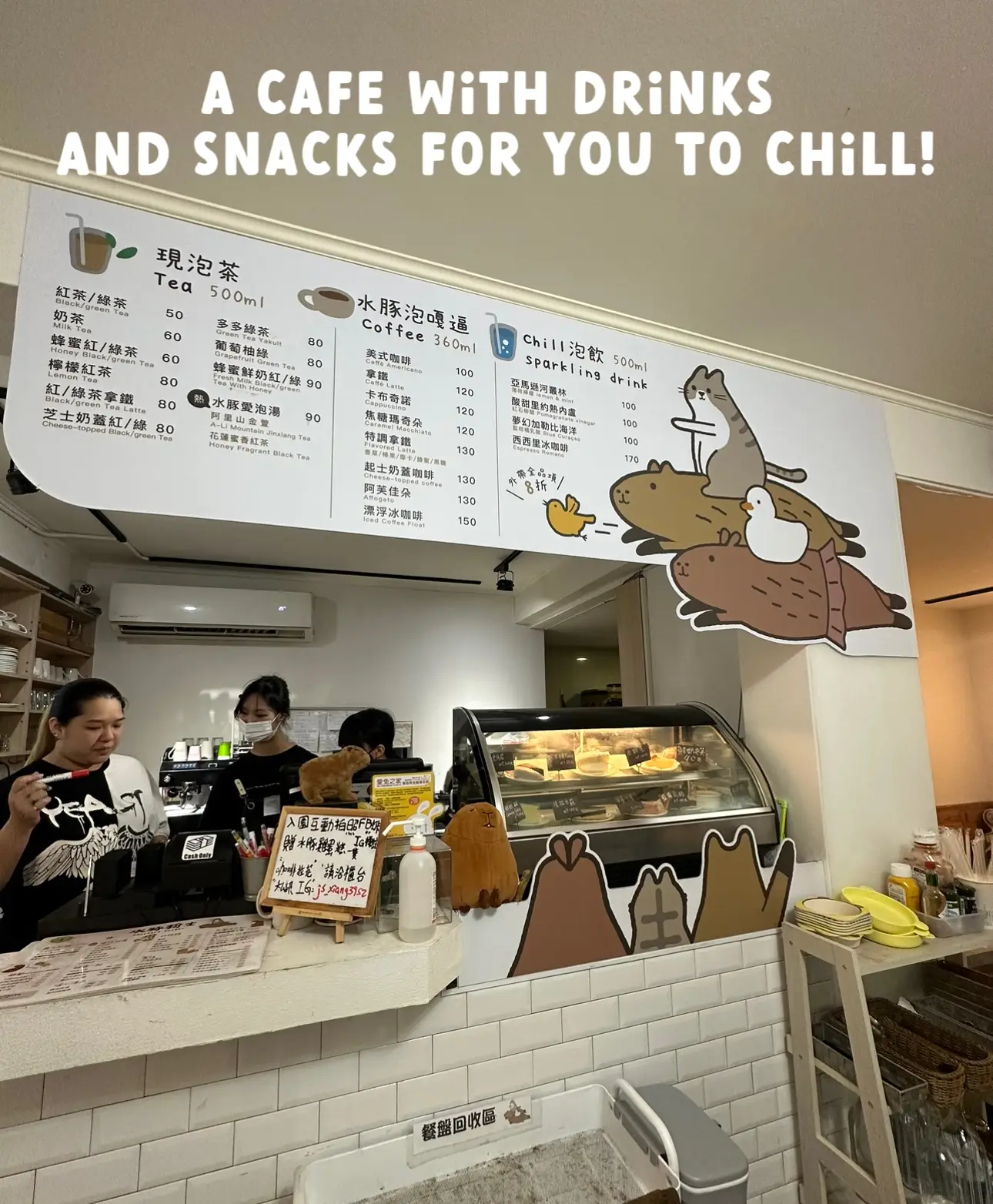 You need to go to this viral CAPYBARA CAFE! 🫶🤩 | Gallery posted by Denise Tan | Lemon8