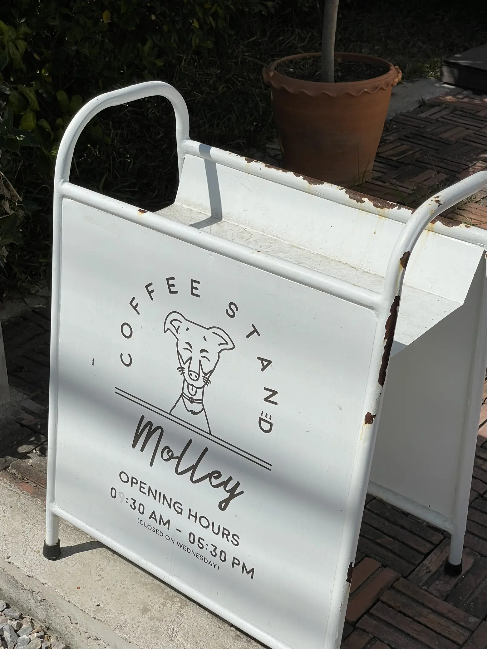 Molly Coffee 🥤 คาเฟ่ที่ไปหัวหินกี่ครั้งก็ต้องแวะ! | แกลเลอรีที่โพสต์โดย ...