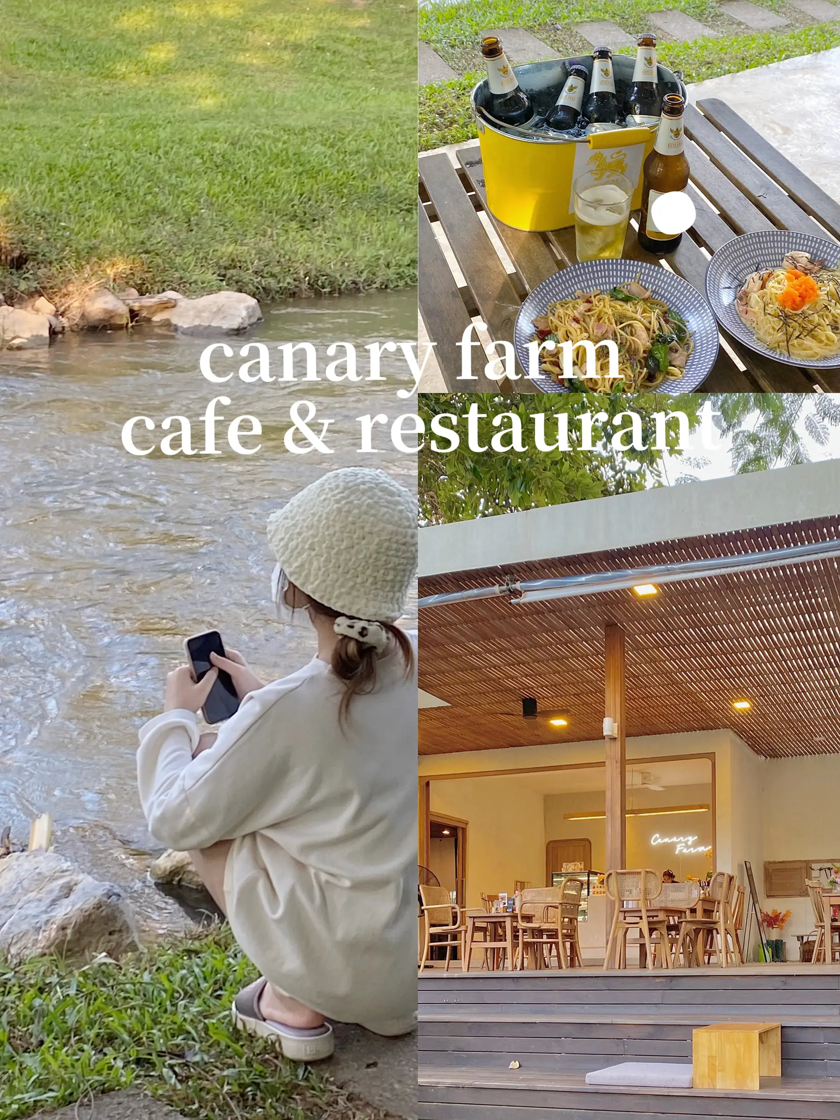 canary farm cafe & restaurant : คาเฟ่กลางหุบเขา 🌲🌿 | แกลเลอรีที่โพสต์ ...