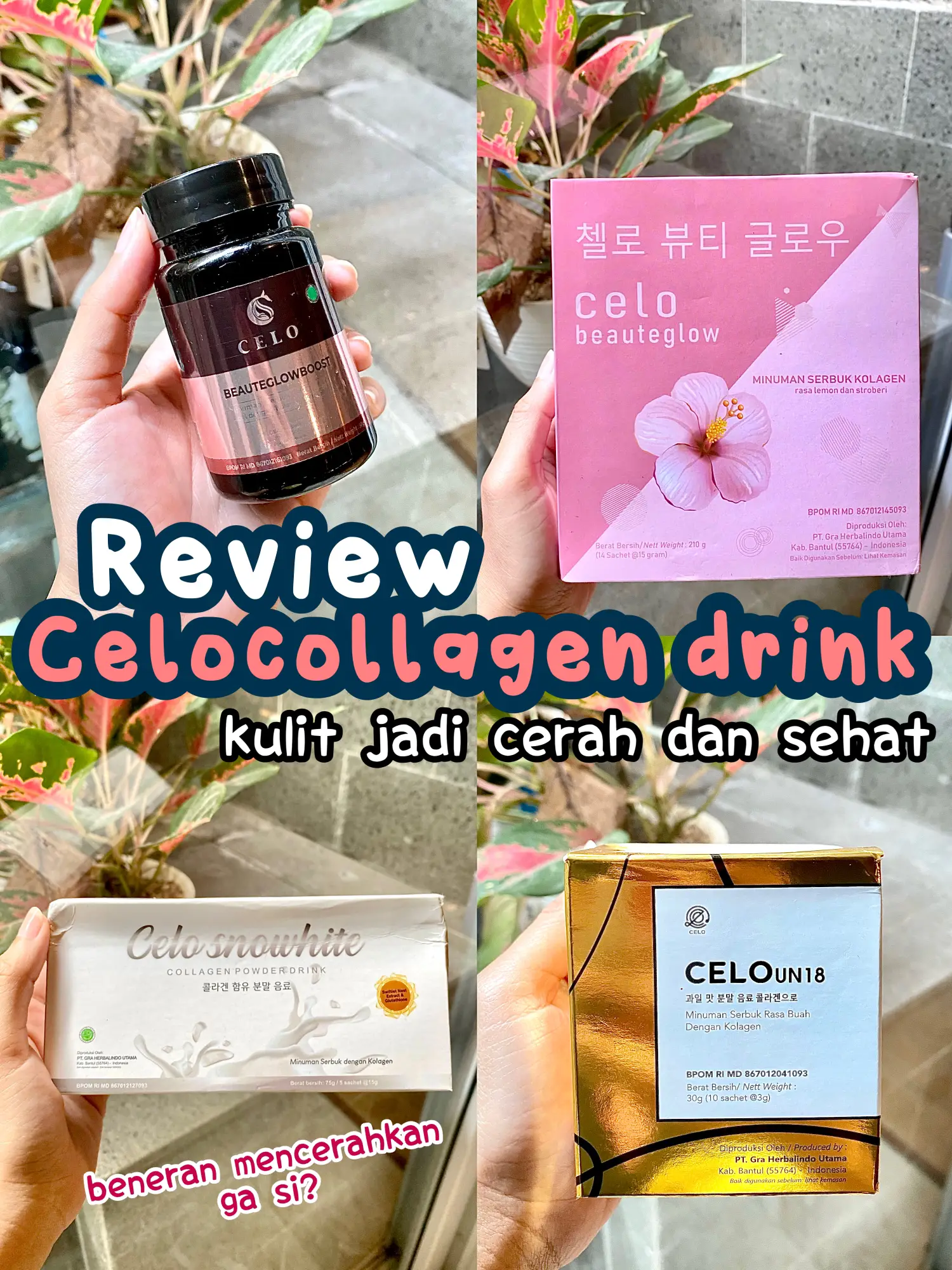 🌷 celo colagen 🌷 | Galeri diposting oleh | Lemon8
