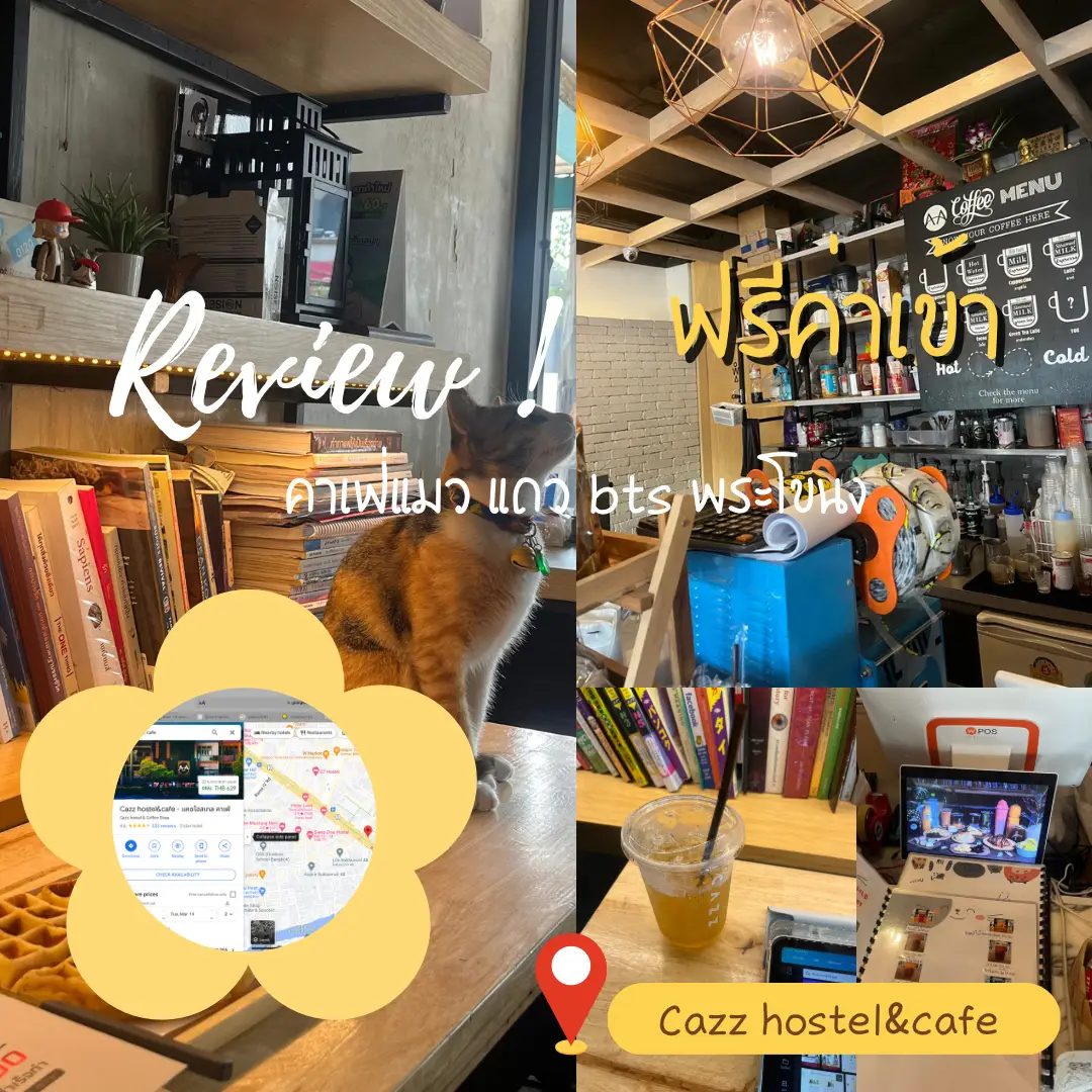 รีวิว คาเฟ่แมว ฟรีค่าเข้า 📌 แถว bts พระโขนง | แกลเลอรีที่โพสต์โดย ᪤𓈒 meowmatcha | Lemon8