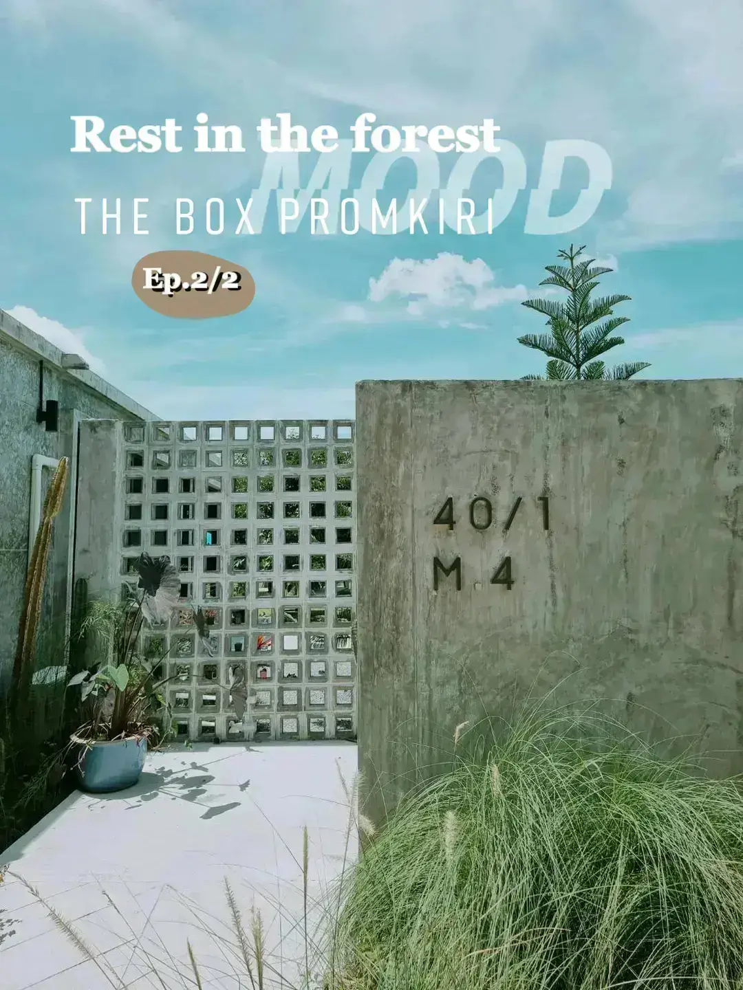 The Box Promkiri ที่พักลับๆ กลางสวน นครศรีธรรมราช | แกลเลอรีที่โพสต์โดย ...