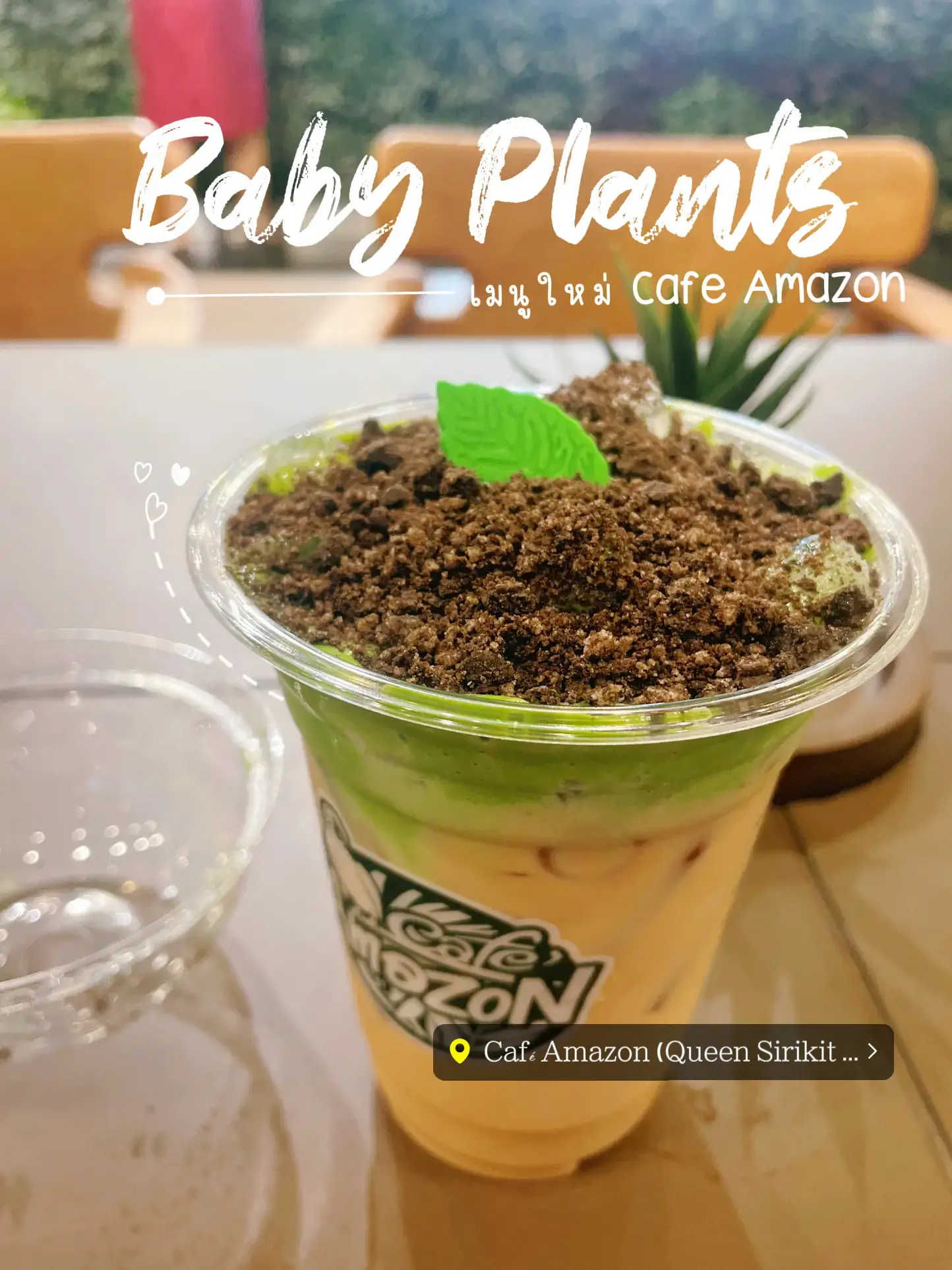 Baby Plants เมนูใหม่ Cafe Amazon เข้มข้นโดนใจ ราคาน่ารัก | แกลเลอรีที่โพสต์โดย อีทอะไรอร่อย | Lemon8