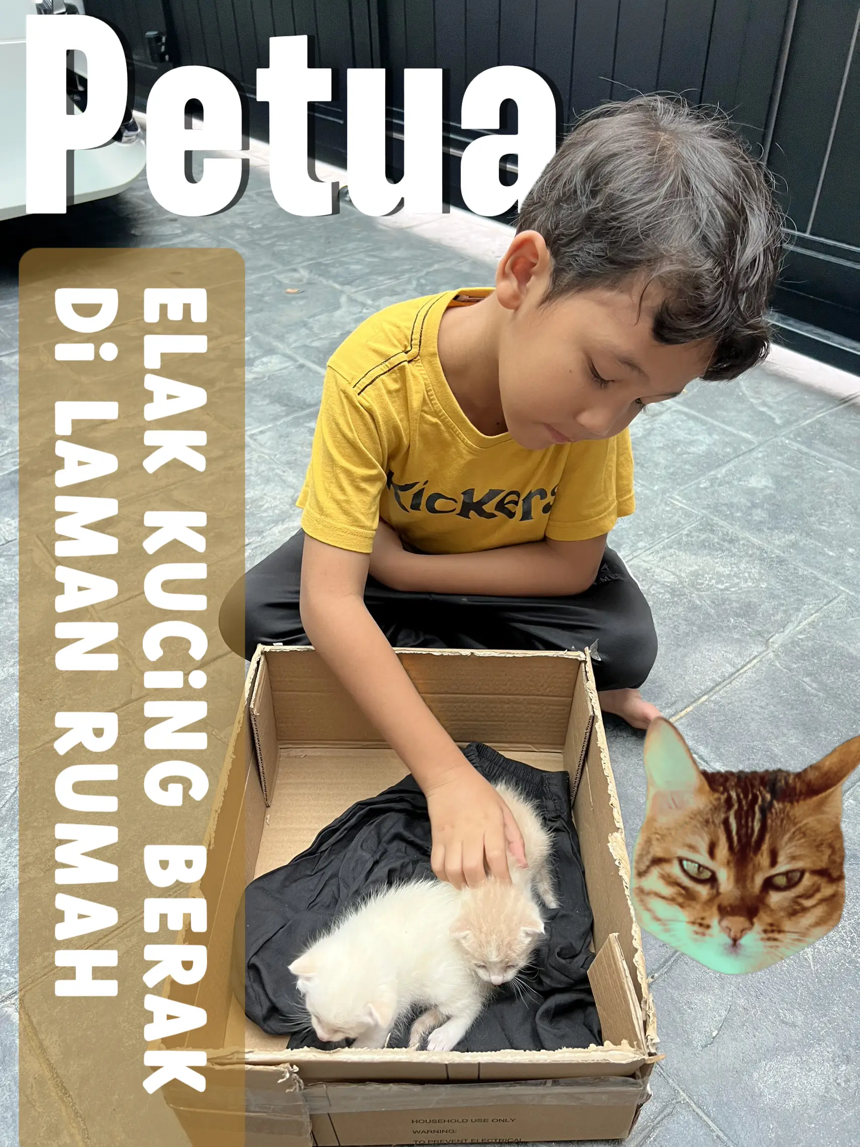PETUA ELAK KUCING BERAK DI LAMAN ANDA | Galeri disiarkan oleh AI.DEN ...