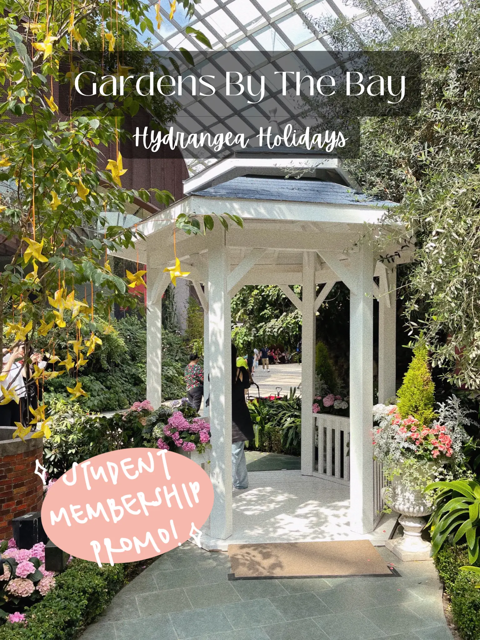 UNLIMITED ENTRY to GBTB domes + skywalk!! | แกลเลอรีที่โพสต์โดย julia ☁ ...