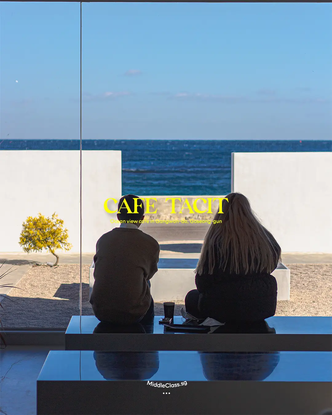 Ocean View Cafe near Sokcho | Gallery posted by MiddleClass.sg | Lemon8