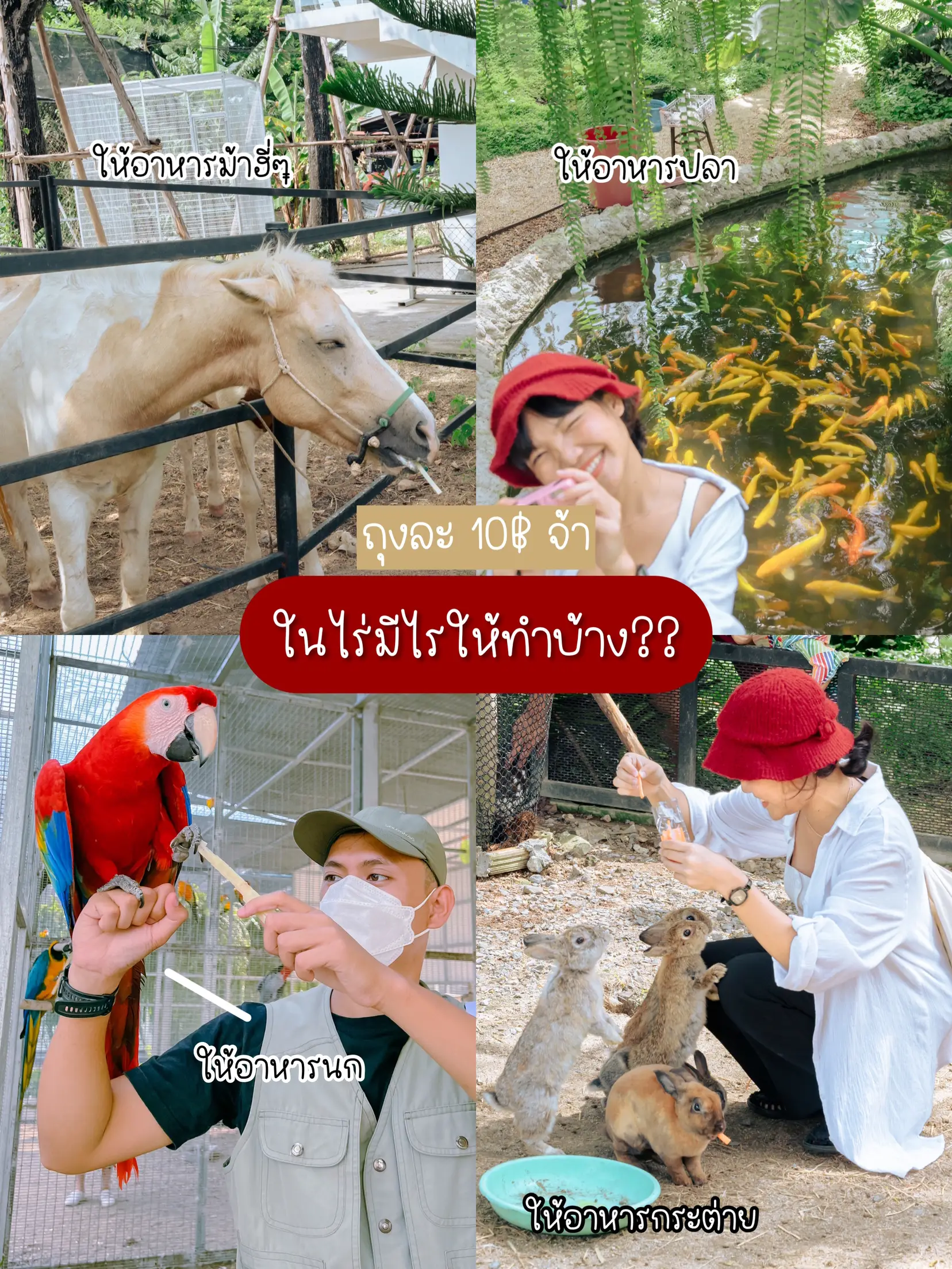 รถไฟลอยน้ำ คนละ 330.- วิวสวยมากกก!!! | แกลเลอรีที่โพสต์โดย annalist ...