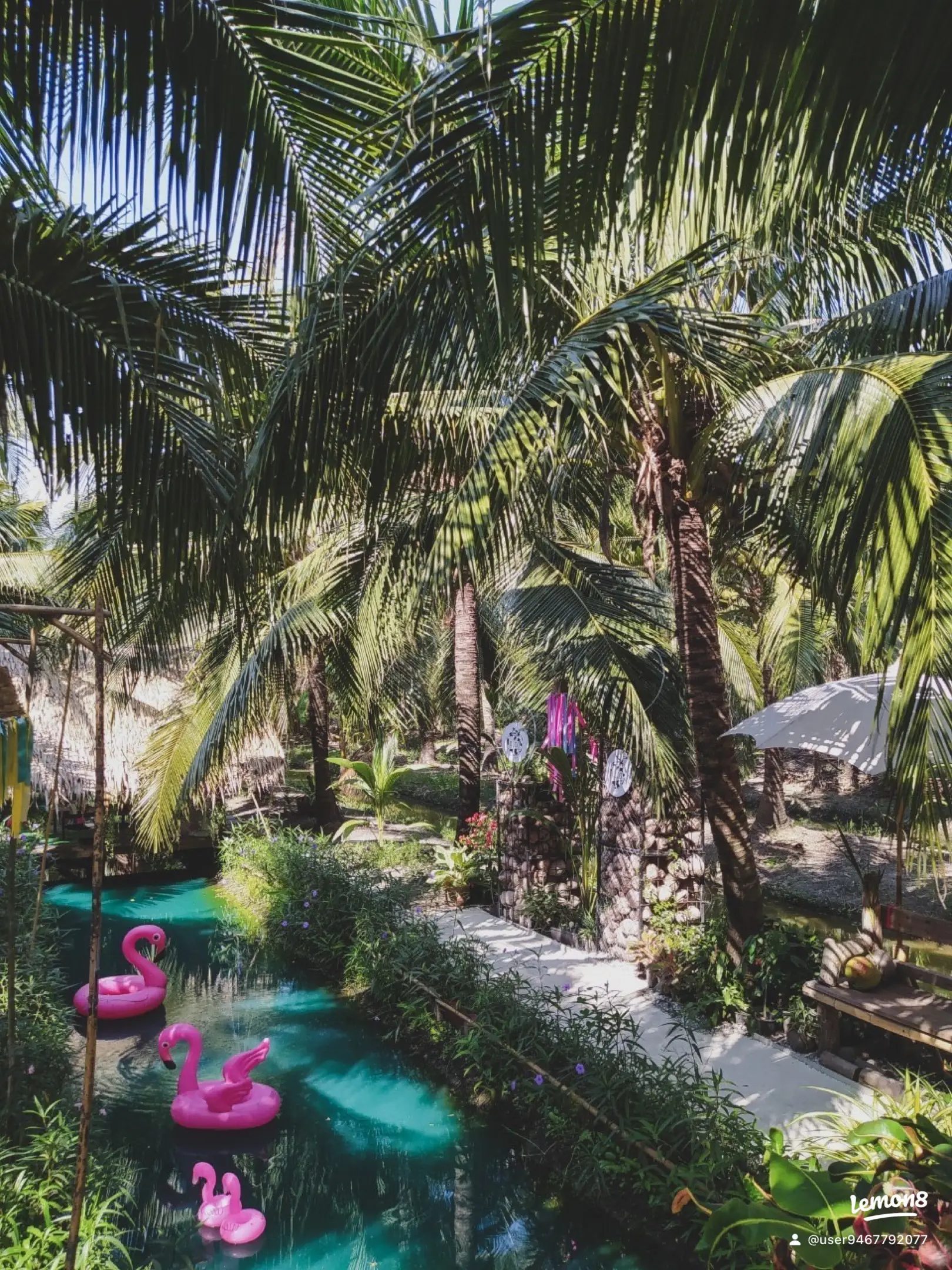 คาเฟ่ธรรมชาติท่ามกลางสวนมะพร้าว จังหวัดสมุทรสาคร | แกลเลอรีที่โพสต์โดย Chayanee Tass | Lemon8