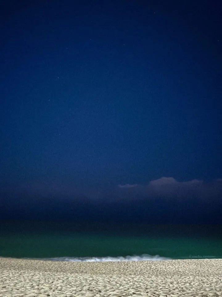 wallpaper pantai - Carian Lemon8