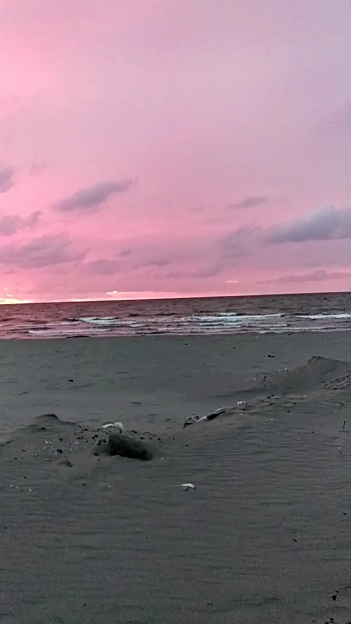 Pink sea beach | วิดีโอที่เผยแพร่โดย everydaywithnat | Lemon8