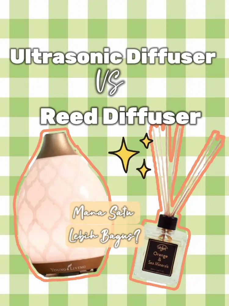 ULTRASONIC DIFFUSER VS REED DIFFUSER 🌫️ | Galeri disiarkan oleh WrappedbyLea | Lemon8