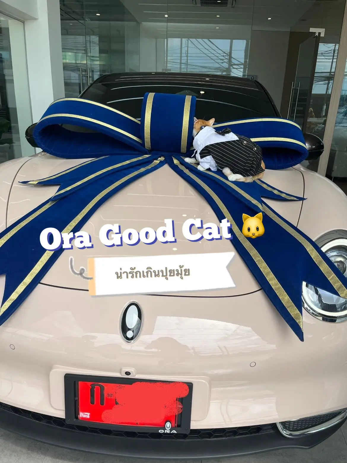 รีวิวเช่ารถ และขับ ora good cat | แกลเลอรีที่โพสต์โดย Chana🎀 | Lemon8