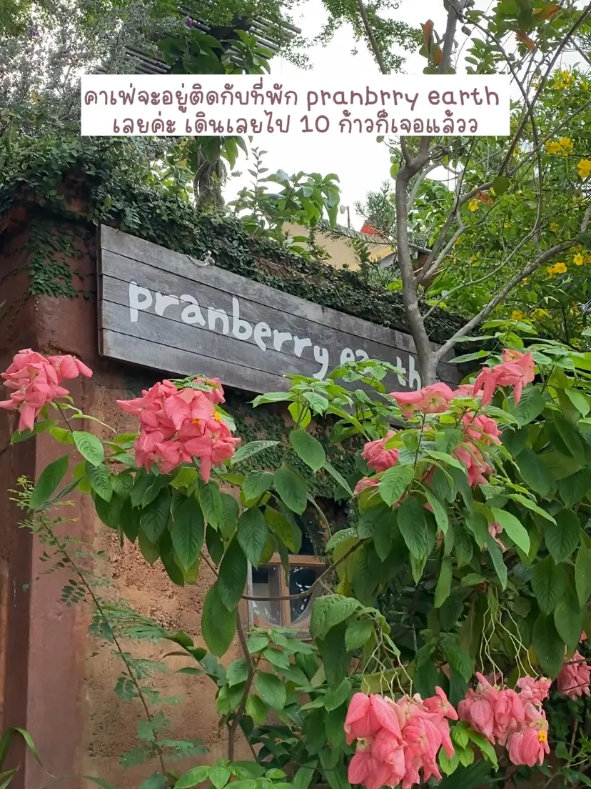 Pranberry field คาเฟ่สุดชิลล์ ฟีลสวนหลังบ้านในยุโรปป 🛖🌲🍃🌺 | แกลเลอรีที่ ...