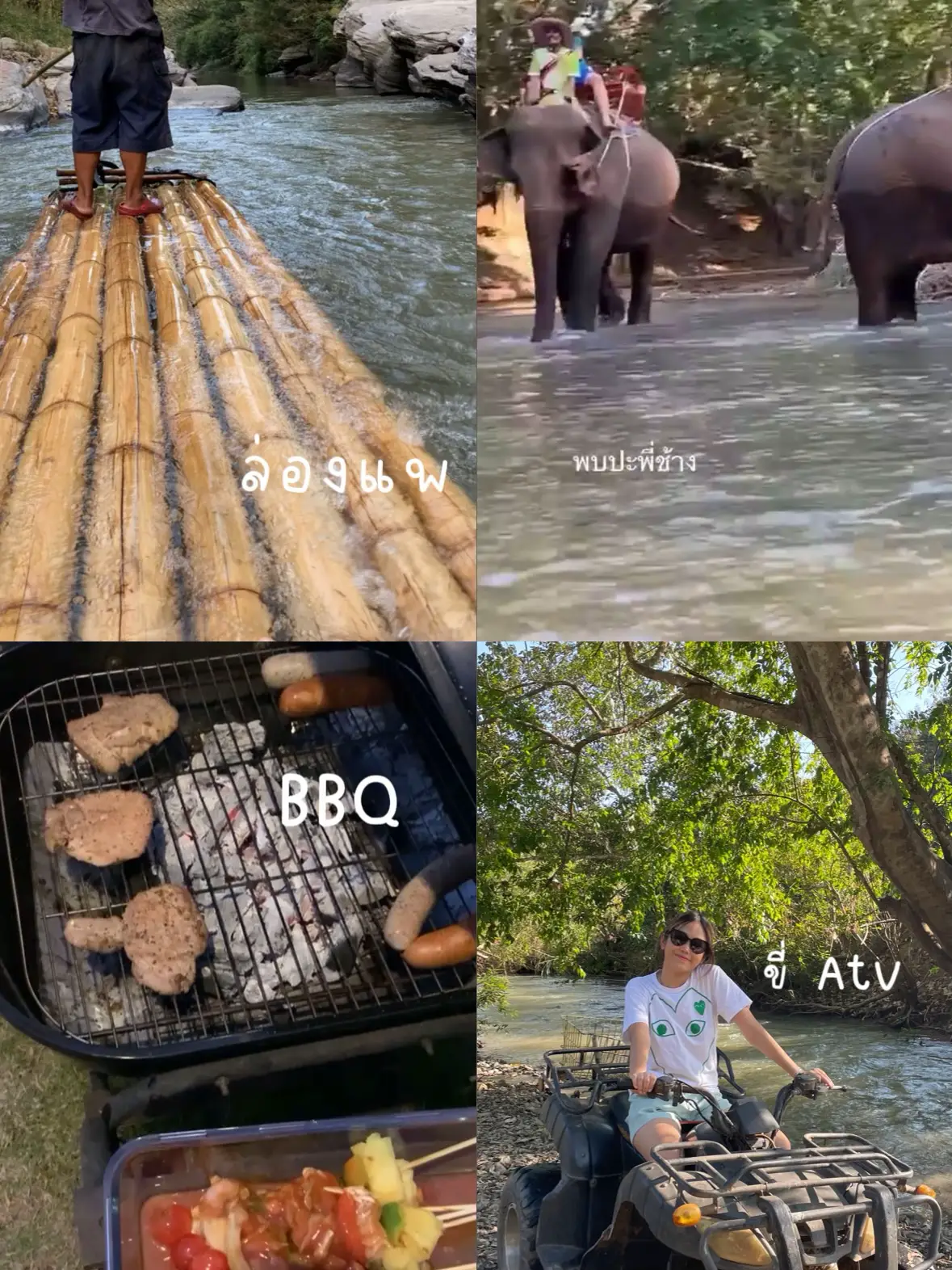 แคมป์ปิ้งเชียงใหม่ Campiness Camping & Farmsook🏕️ | แกลเลอรีที่โพสต์โดย Tharinee J. | Lemon8