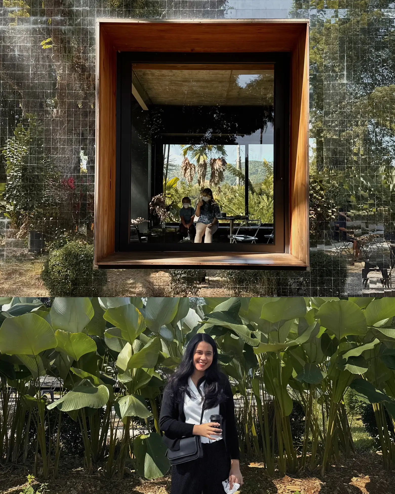 คาเฟ่น่าแวะที่เขาค้อ Taproot Cafe ☕️🌳 | แกลเลอรีที่โพสต์โดย Bajaree.wk | Lemon8