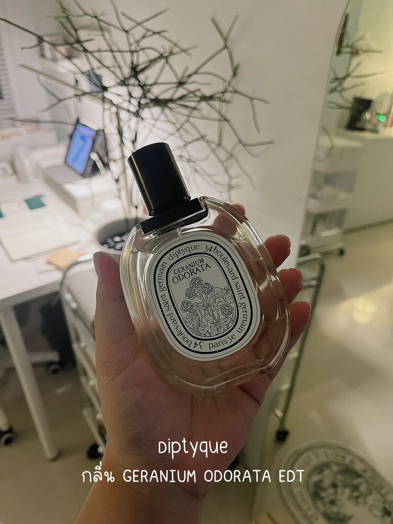 รีวิวน้ำหอม Diptyque ที่ควรมี!! 5 กลิ่น | แกลเลอรีที่โพสต์โดย BK Bowkie | Lemon8