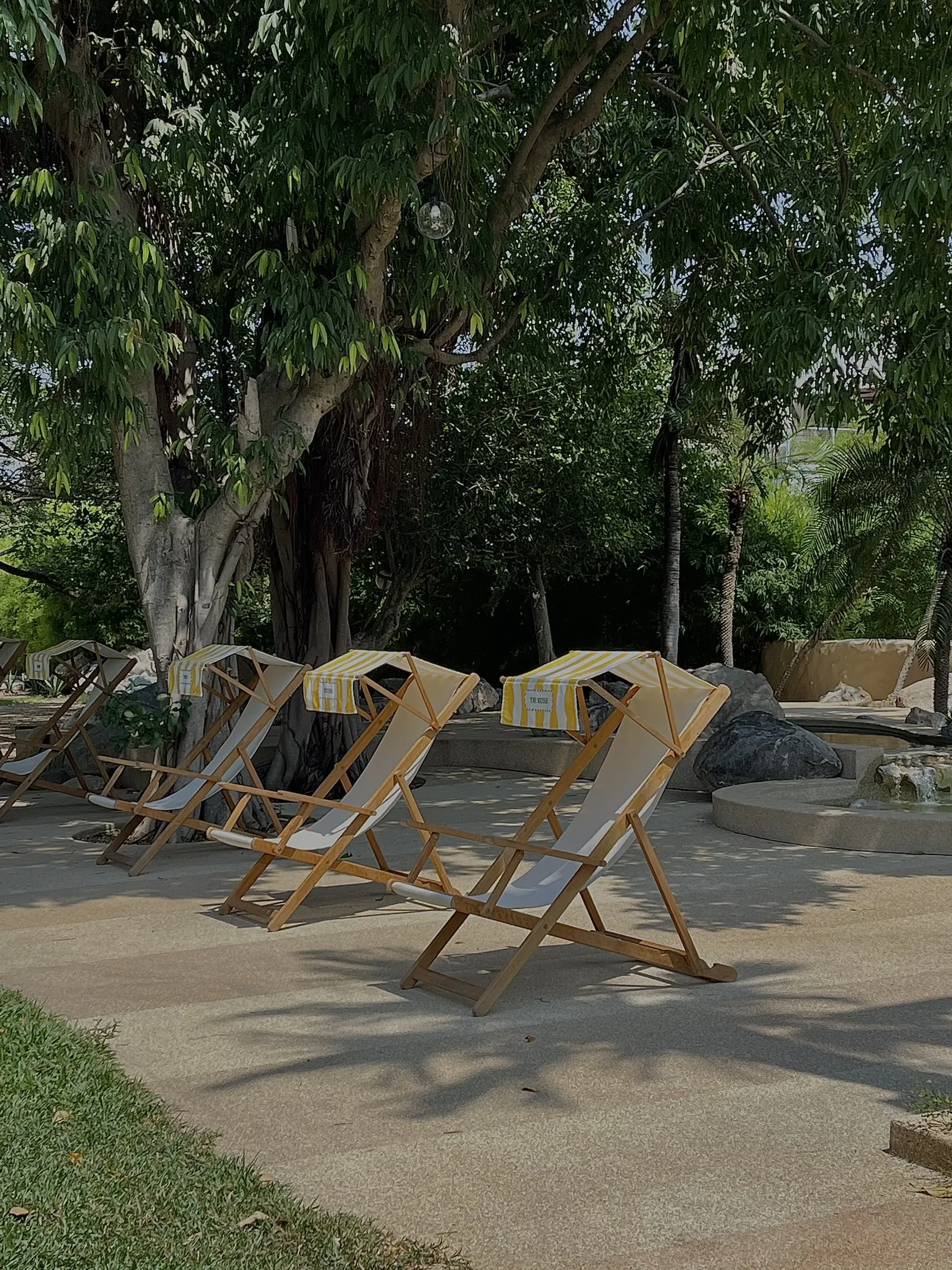 THE REISE | ร้านอาหารอิตาเลียนเปิดใหม่ประชาชื่น🍋💛 | แกลเลอรีที่โพสต์โดย ...