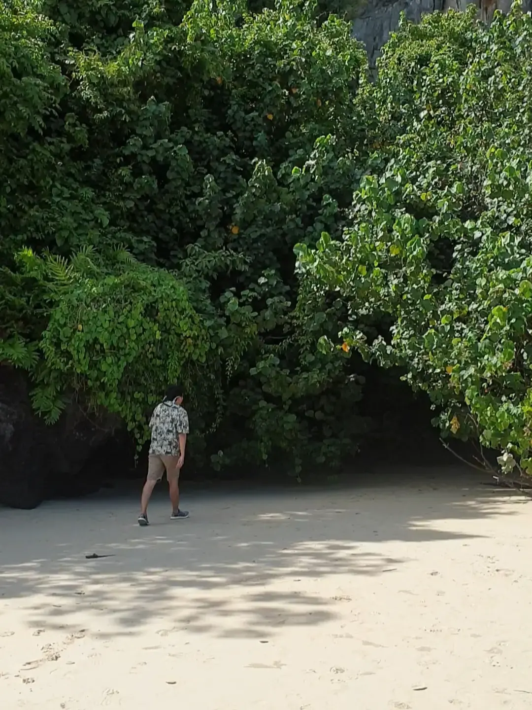 ถ้ำค้างคาวไร่เลย์ | แกลเลอรีที่โพสต์โดย shebeen - ชีบีน | Lemon8