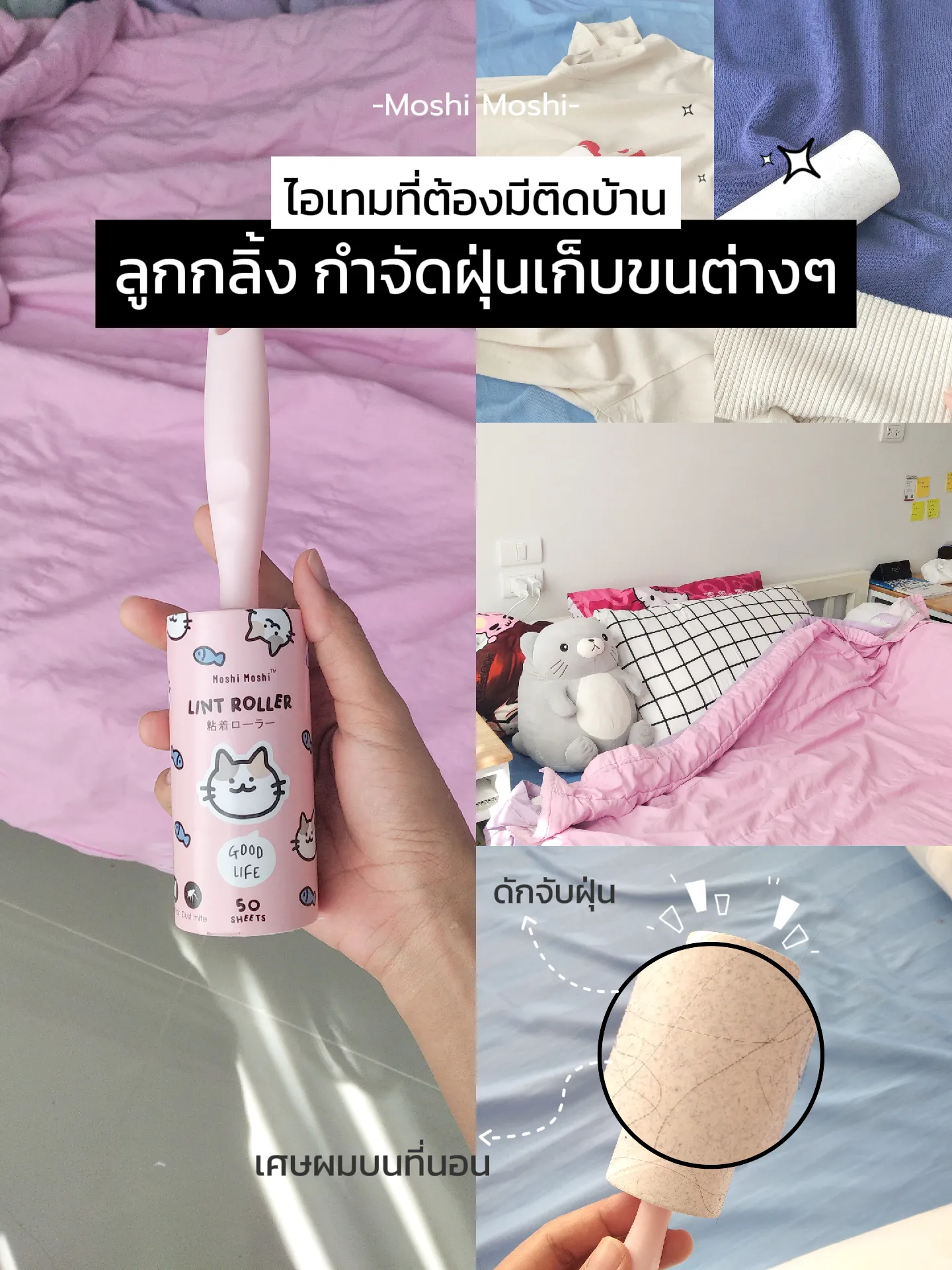 คลิป : รีวิวลูกกลิ้งทำความสะอาด Randy | วิดีโอที่เผยแพร่โดย ปักหมุด ...