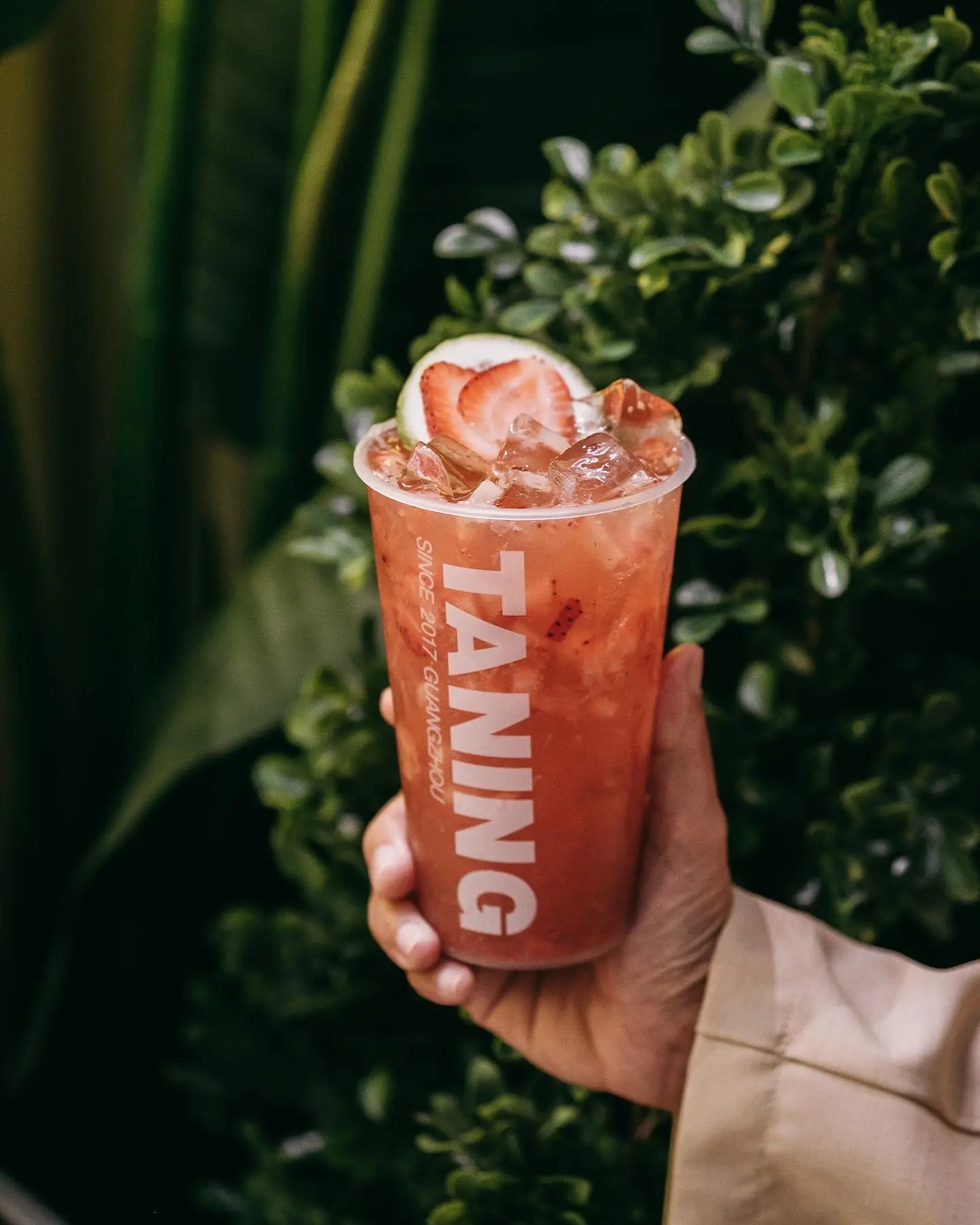 Taning (ถาหนิง) ชามะนาวชื่อดังจากกวางโจวเปิดที่ไอคอนสยาม | แกลเลอรีที่ ...