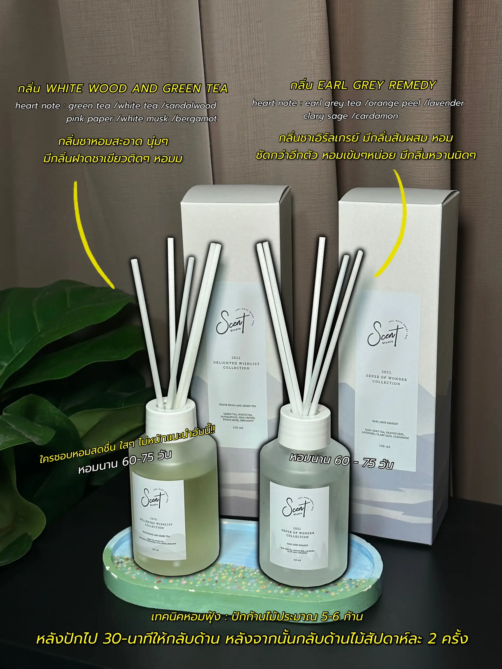 Diffuser thai brand 👃🏻 ก้านไม้หอมจากแบรนด์ไทย หอมฟุ้ง 💛 | แกลเลอรีที่ ...