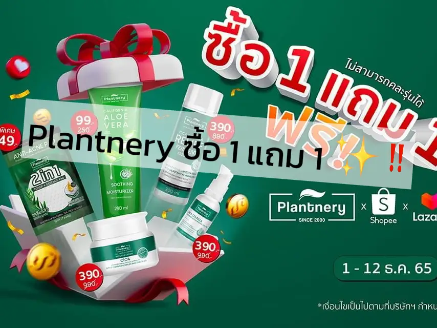 Plantnery ซื้อ 1 แถม 1 ‼ | แกลเลอรีที่โพสต์โดย Kwanjai 4289 | Lemon8