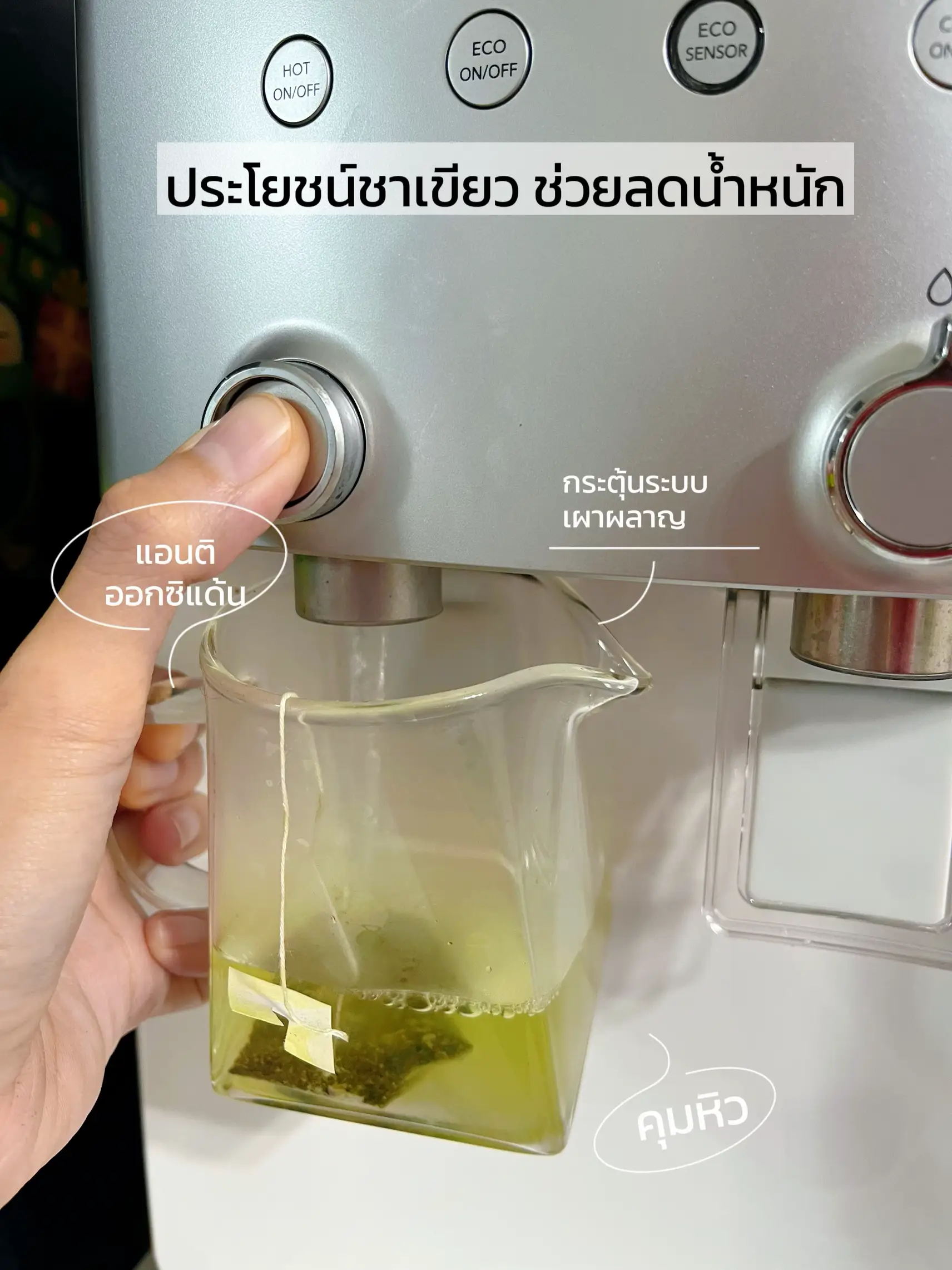 ดื่มชาเขียวมัทฉะทุกวัน ระวังนะ!!! | วิดีโอที่เผยแพร่โดย Angsuma Lin | Lemon8
