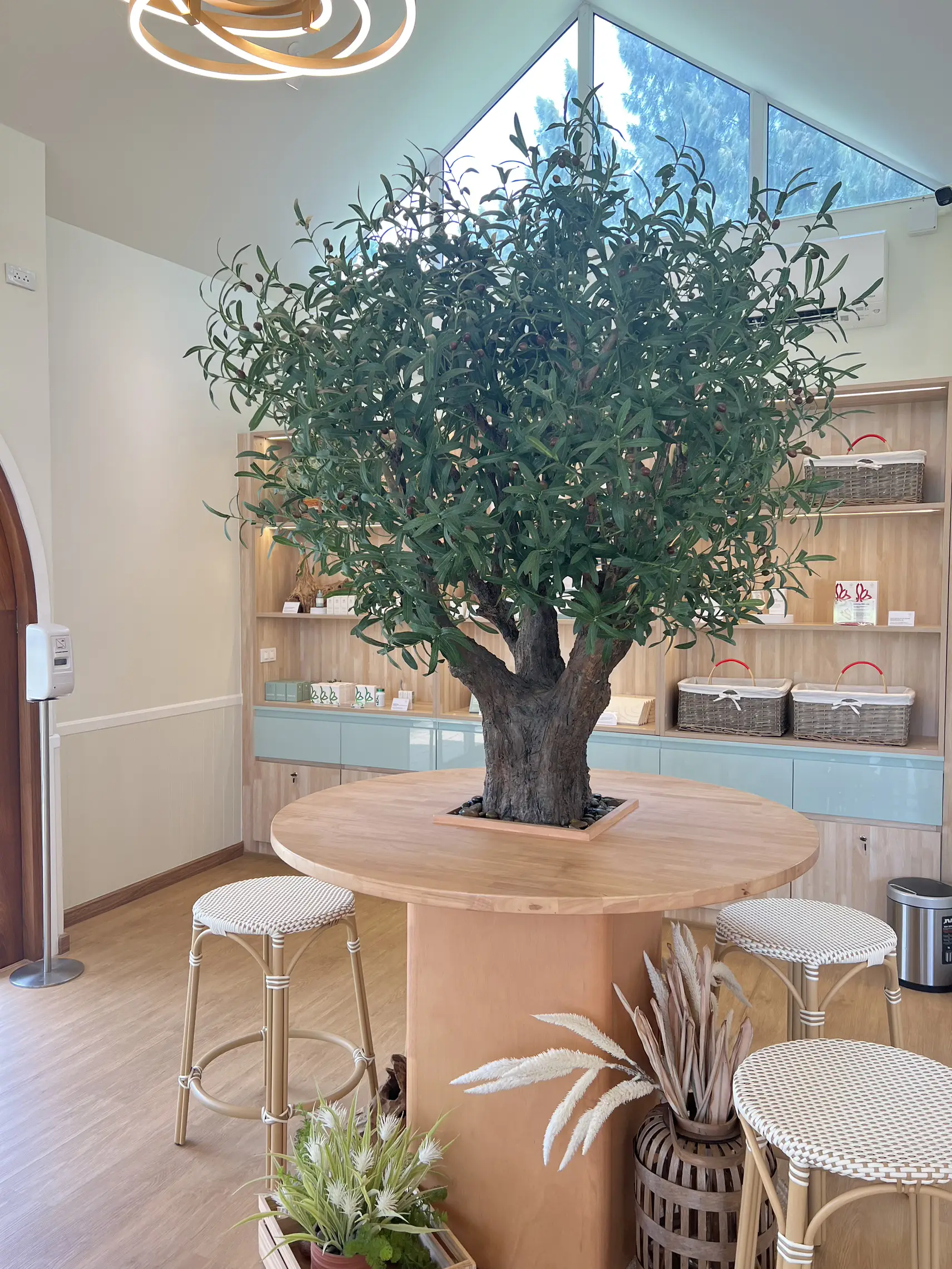 Trio_Farm_Cafe คาเฟ่ฟิวเขาใหญ่ @กาญจนบุรี | แกลเลอรีที่โพสต์โดย Ardy ️ | Lemon8