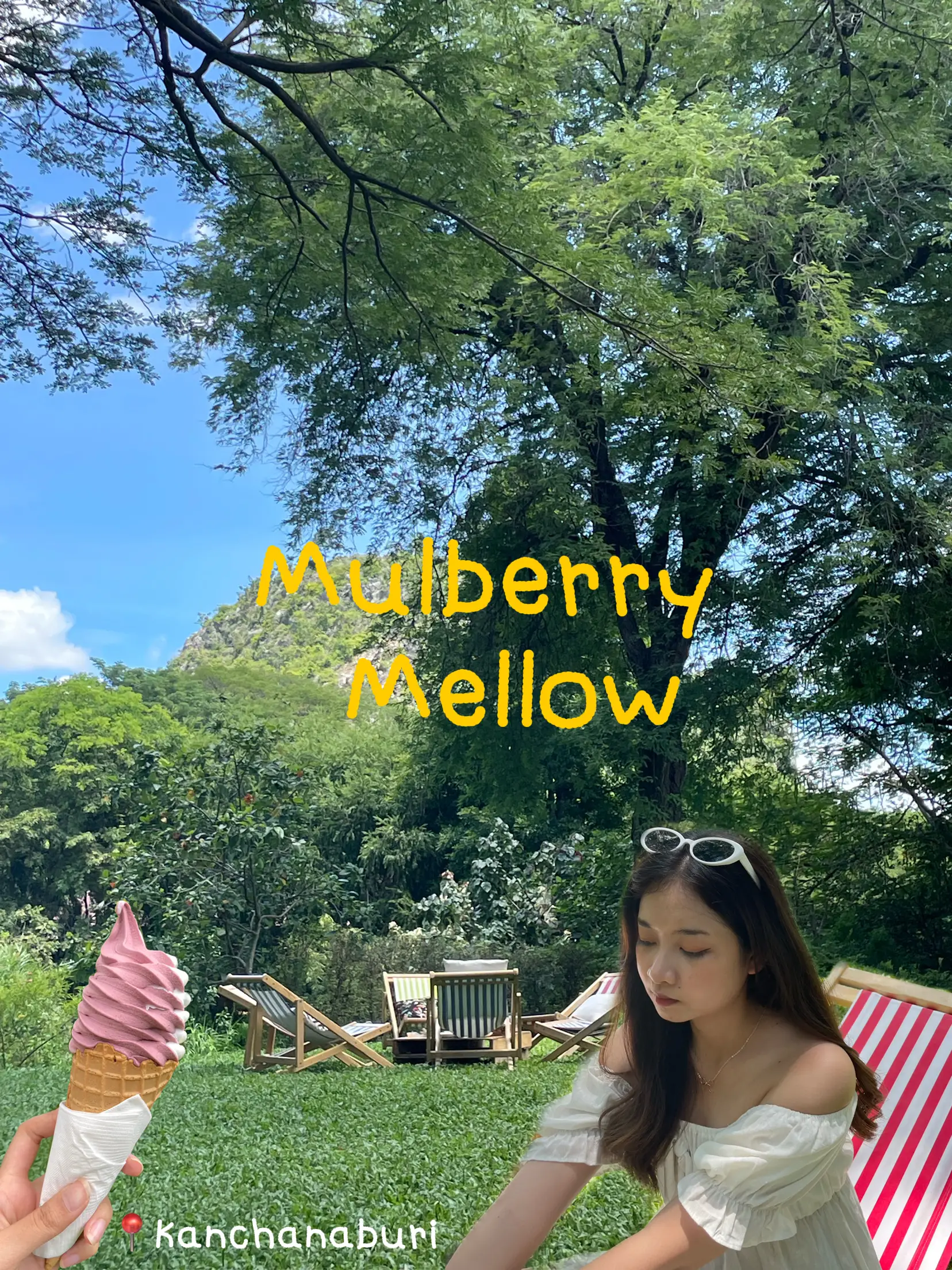 Mulberry mellow🌳| kanchanaburi | แกลเลอรีที่โพสต์โดย poppichyy | Lemon8