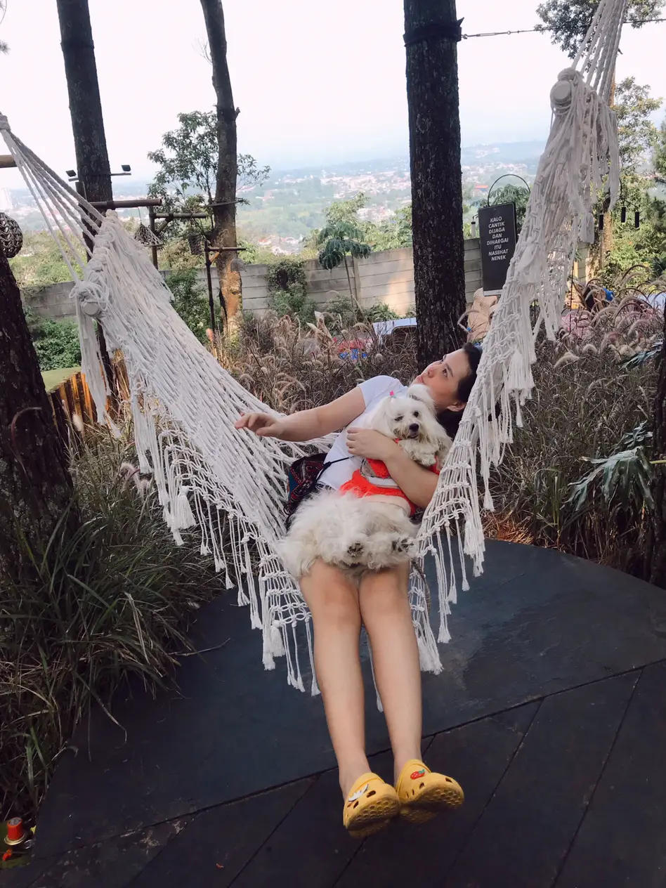 Healing with Anabul di Puncak… Playground Luas!! | Galeri diposting ...