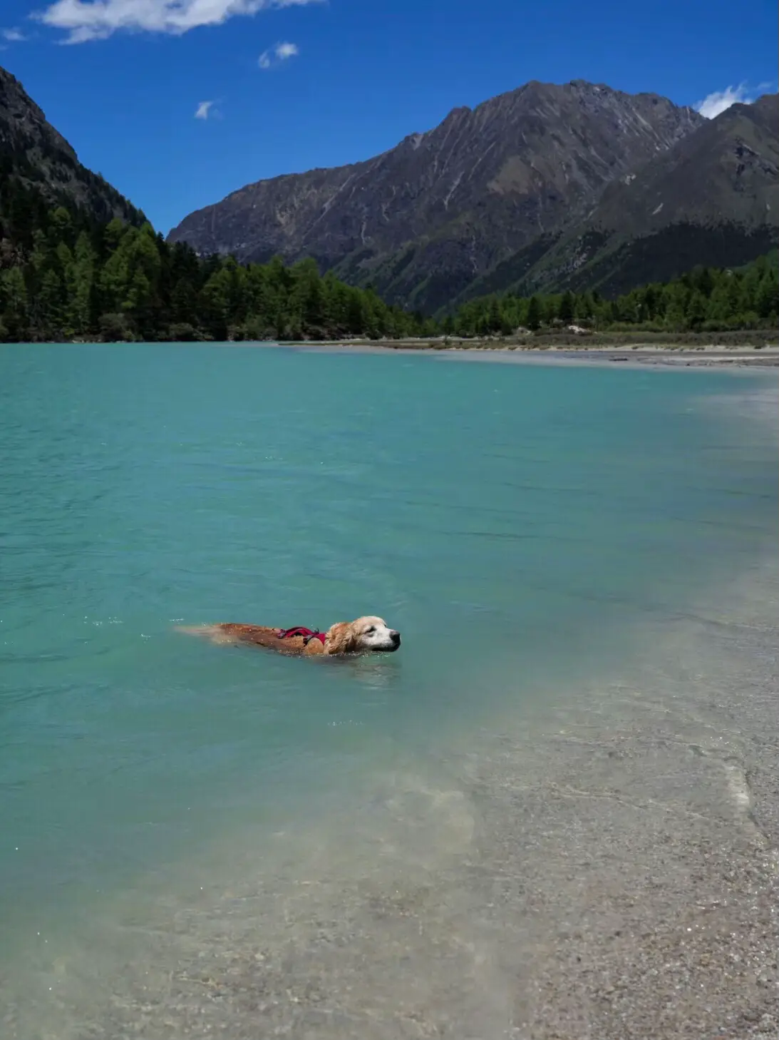 Full hike Tiffany Blue Lotus Lake | Gallery posted by Ling Feng | Lemon8