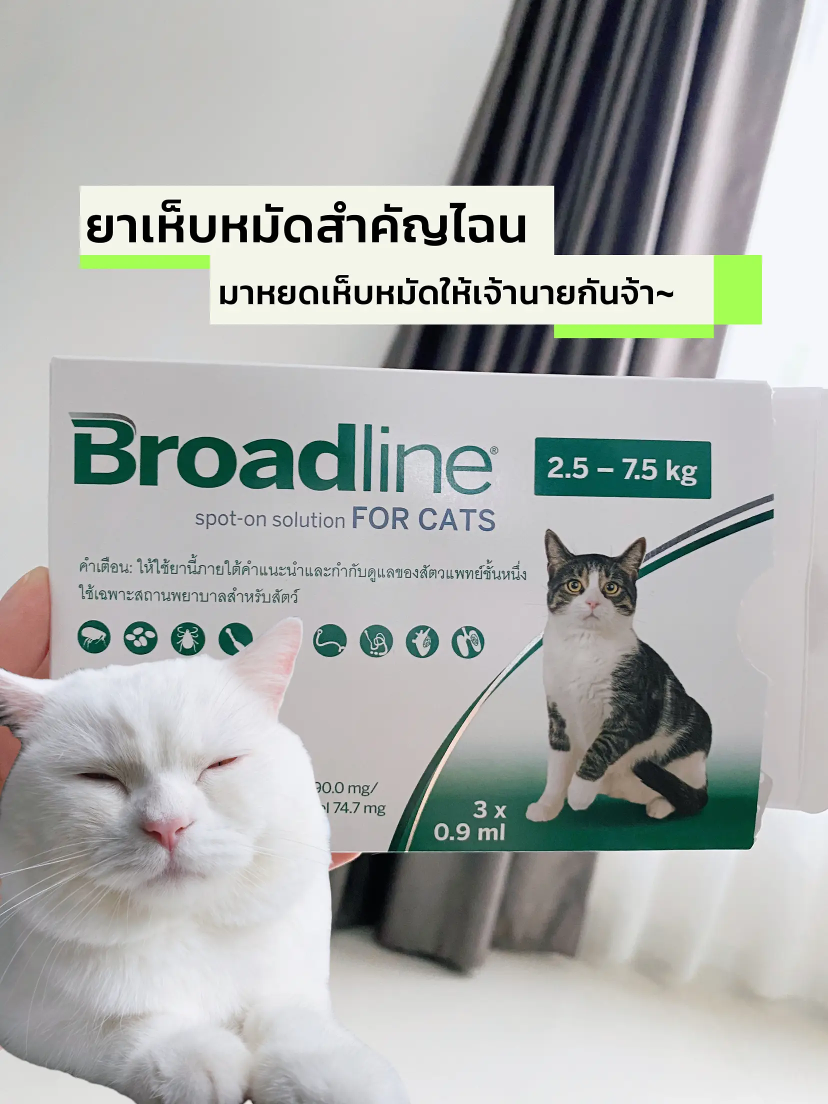 Broadline รีวิวยาหยดหลังคอแมว ป้องกันเห็บหมัด | แกลเลอรีที่โพสต์โดย ...