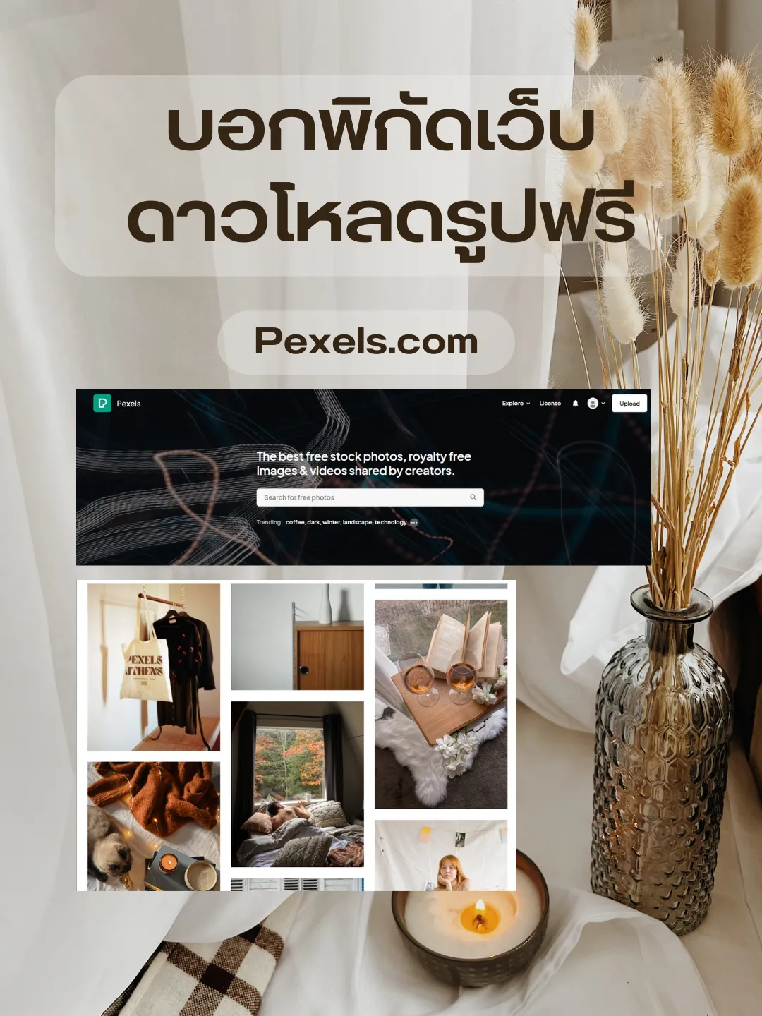 บอกพิกัดเว็บโหลดรูปภาพฟรี ไม่มีลิขสิทธิ์ | แกลเลอรีที่โพสต์โดย Shen_sky ...