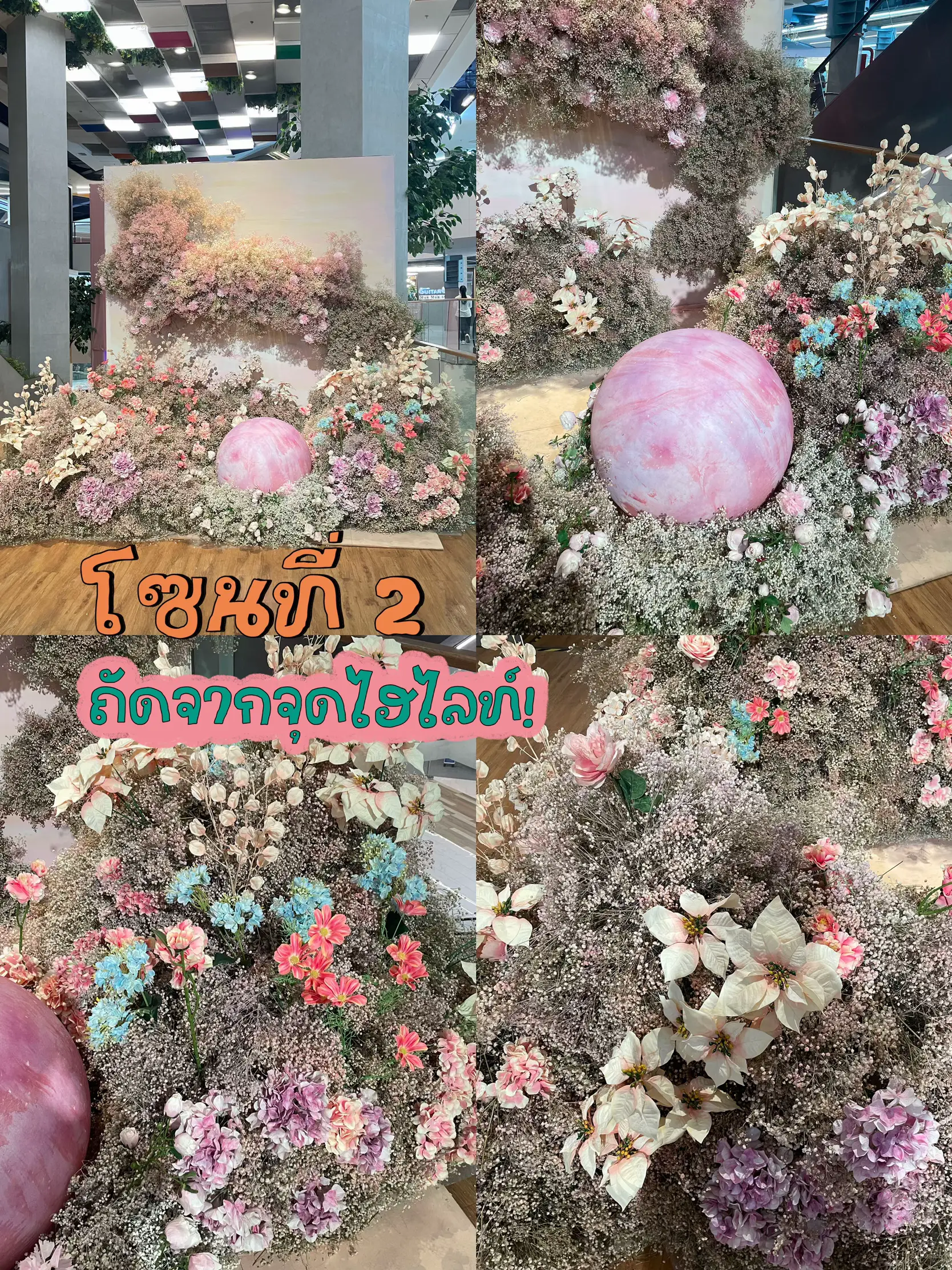 🌺Rakdok exhibition ทุ่งดอกไม้สุดน่ารักต้อนรับวาเลนไทน์🌹 | แกลเลอรีที่โพสต์โดย kkhemii | Lemon8