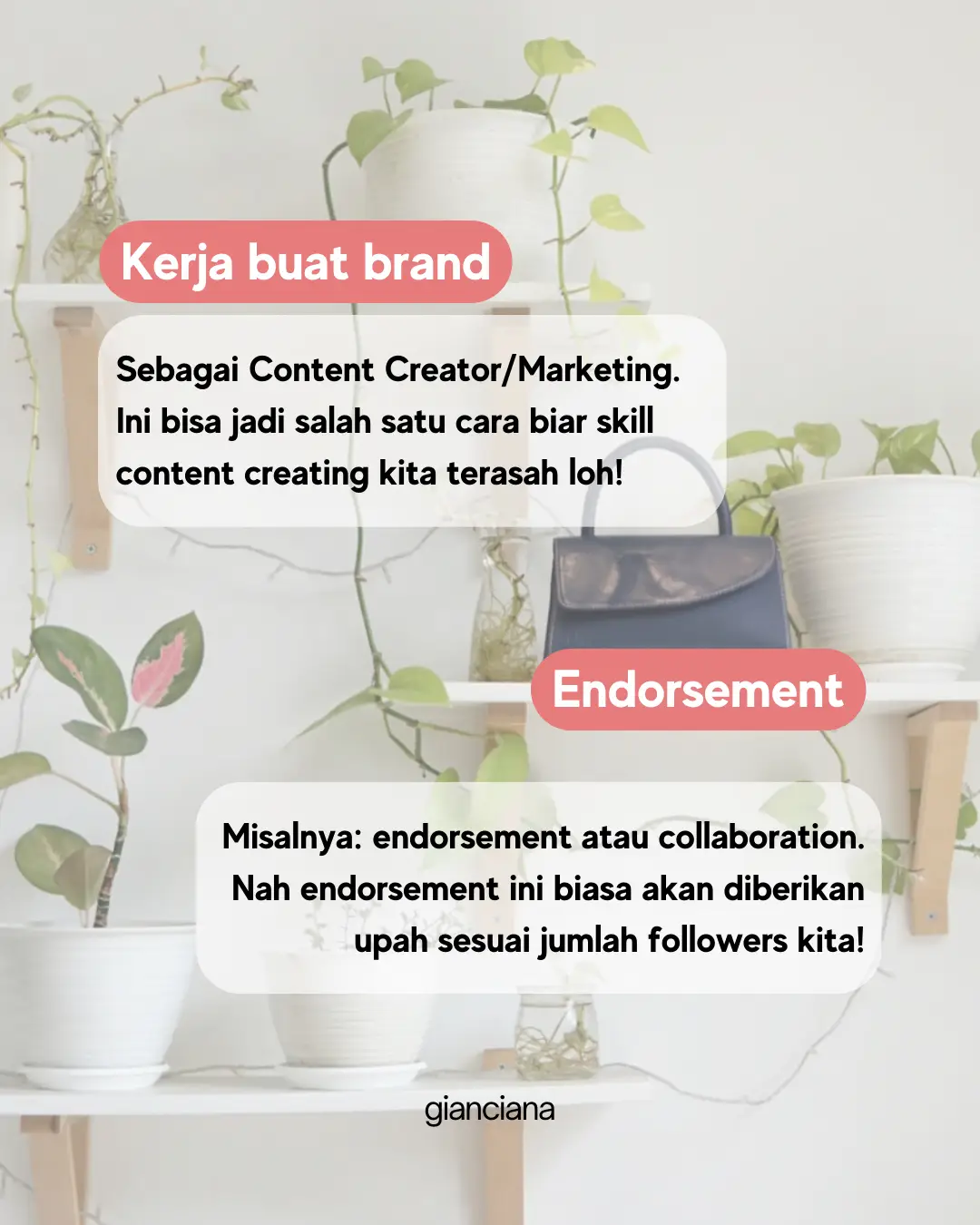 Sumber Cuan Content Creator 👀💫 | Galeri diposting oleh michelle | Lemon8