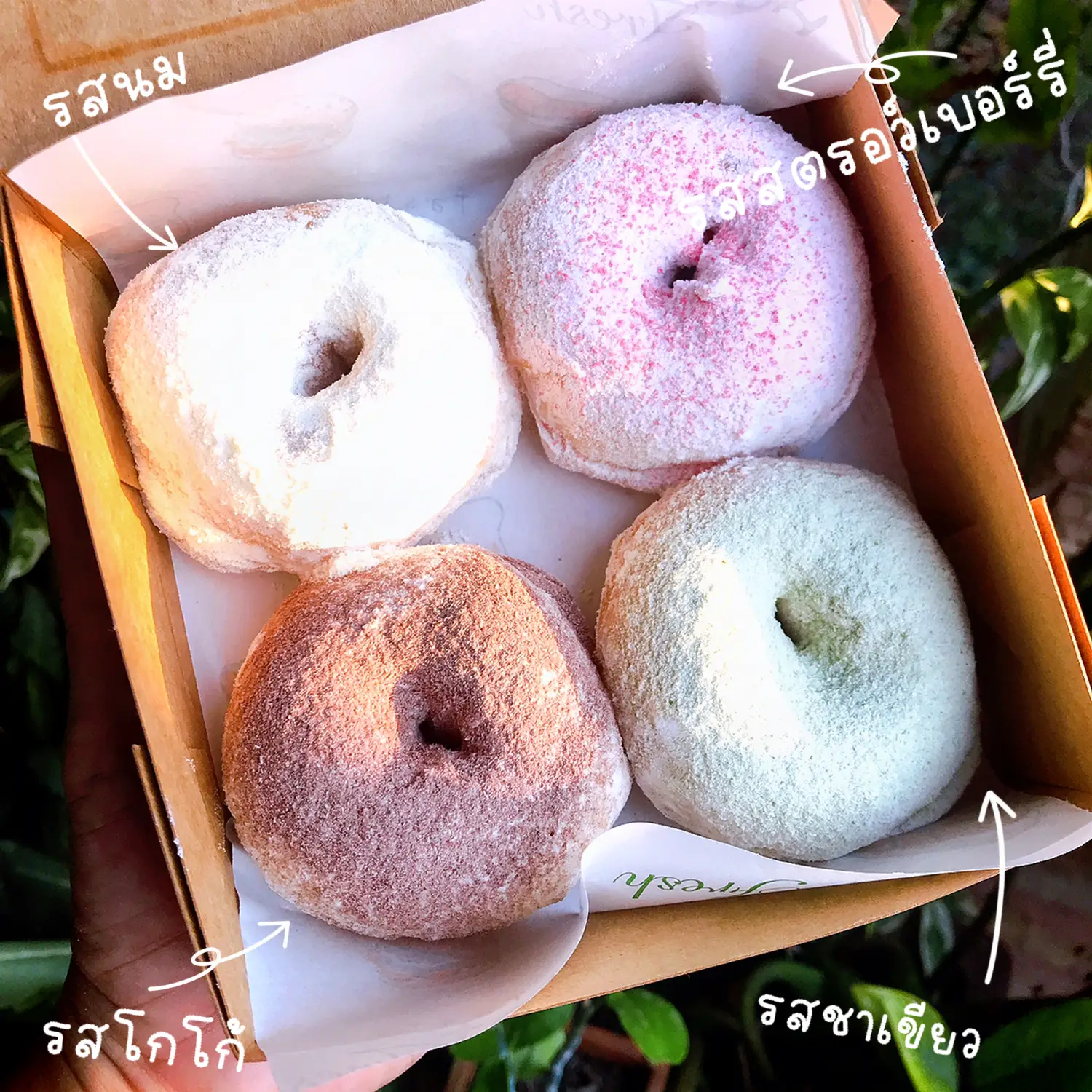 โดนัทยังมีรู แล้วเมื่อไหร่ยูจะมีใจ | แกลเลอรีที่โพสต์โดย Patcharee Jarit | Lemon8