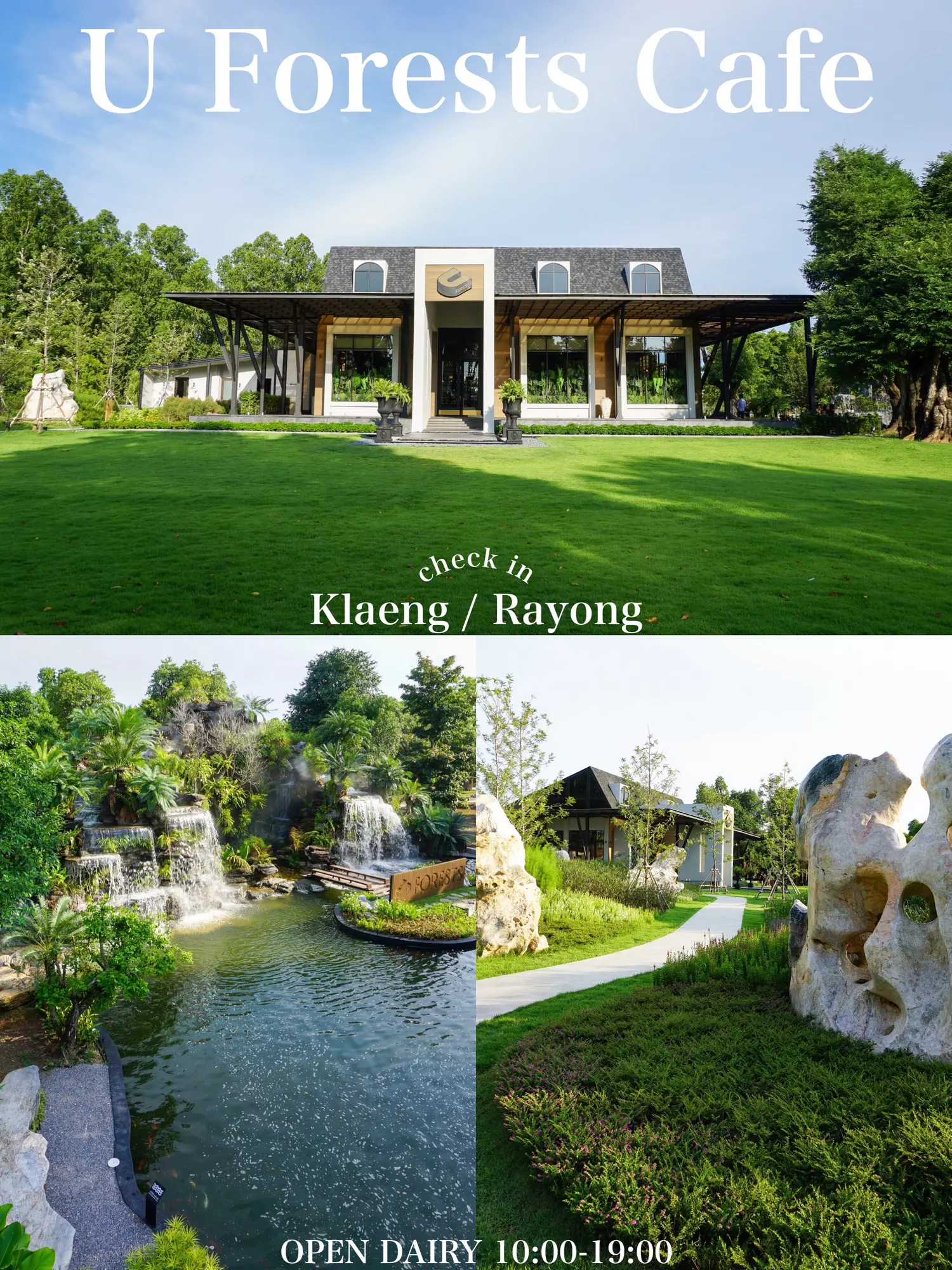 📷 คาเฟ่เปิดใหม่ U Forests Cafe ระยอง🌳🍃 | แกลเลอรีที่โพสต์โดย wanthnyrt | Lemon8