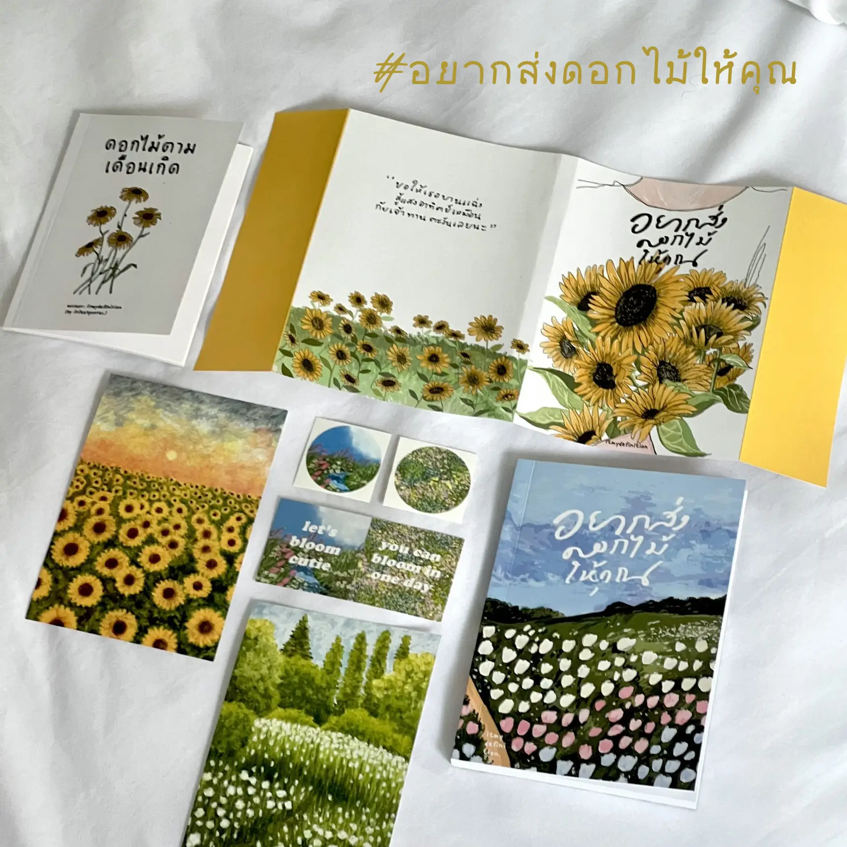 หนังสือหน้าอ่าน เล่มที่ 2 | แกลเลอรีที่โพสต์โดย PluTo_ | Lemon8