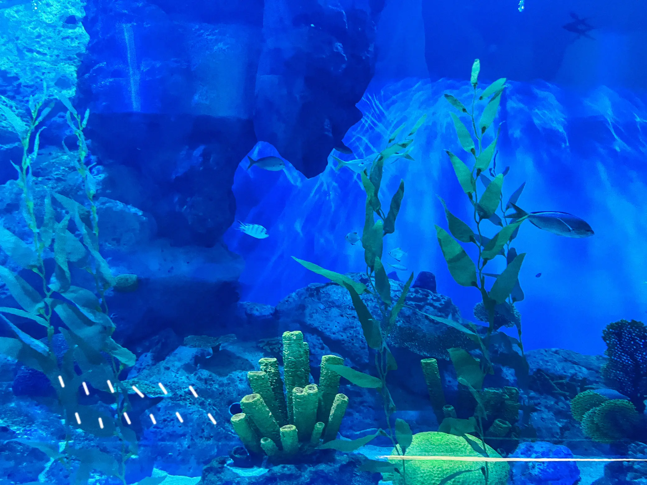 one day trip Bueng Chawak (บึงฉวาก)🦈 | แกลเลอรีที่โพสต์โดย Bun bunbanda | Lemon8