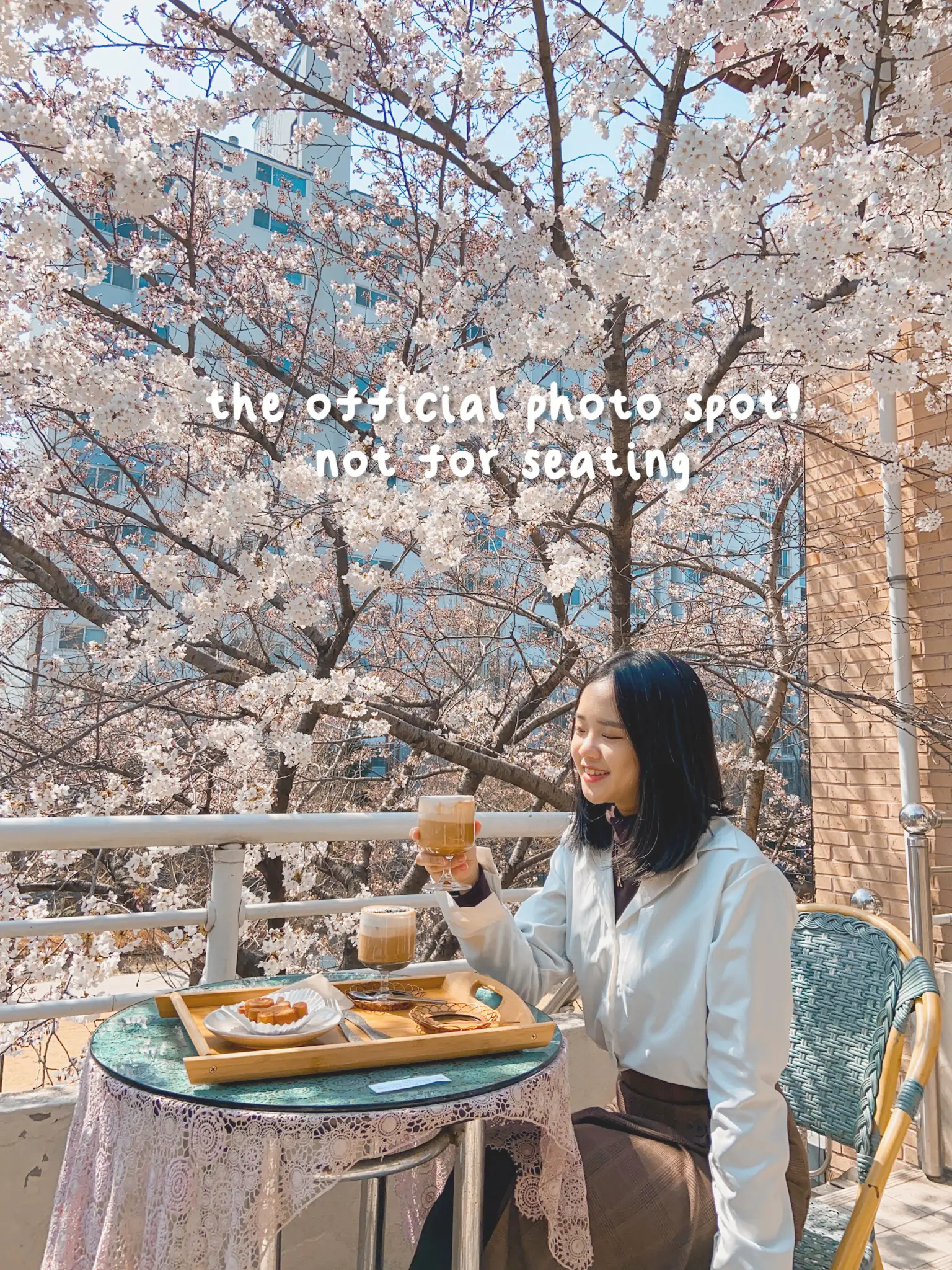 Cherry Blossom Cafe in Seoul🇰🇷 | Gallery posted by sonia | Lemon8