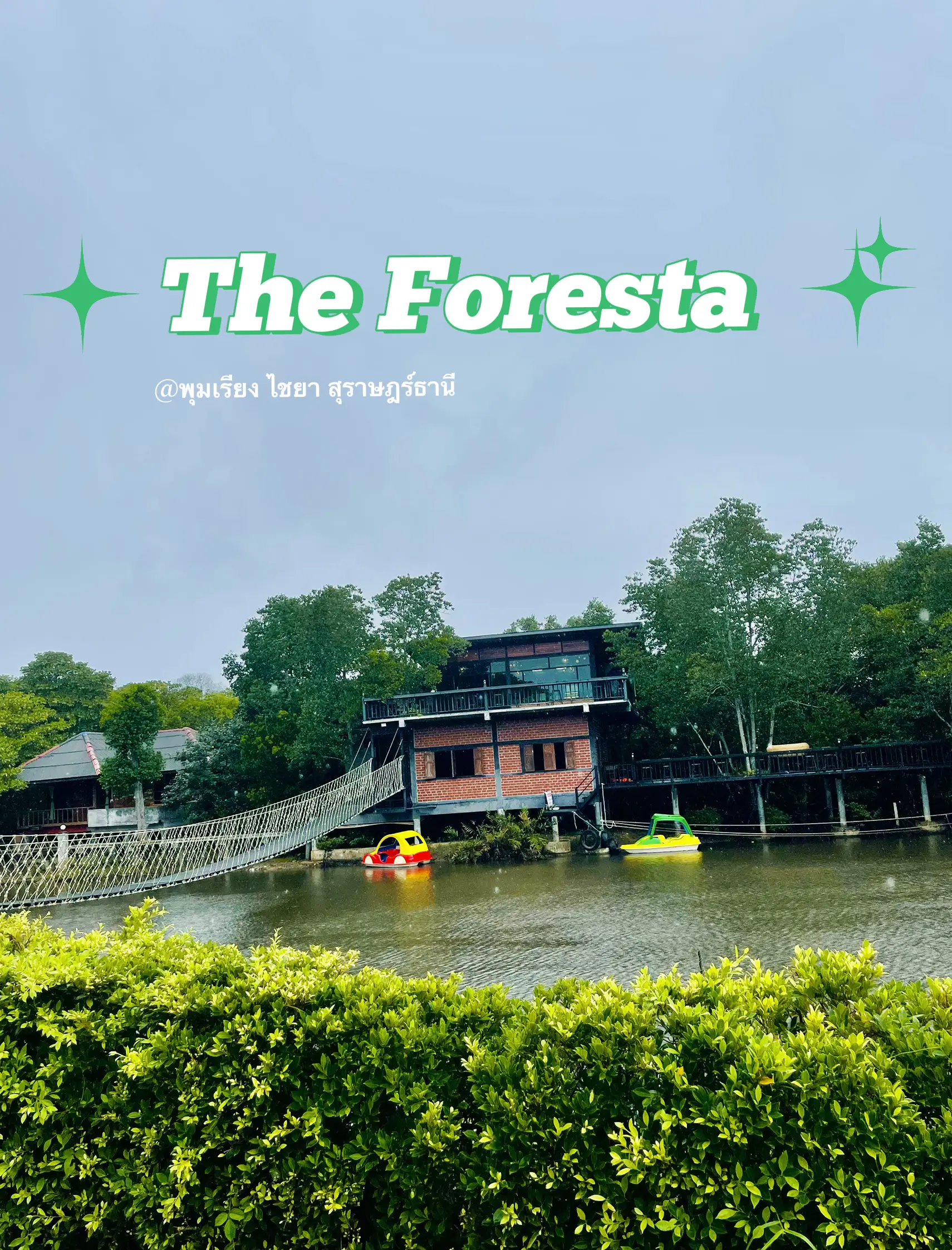 𝕋𝕙𝕖 𝔽𝕠𝕣𝕖𝕤𝕥𝕒 ℂ𝕒𝕗𝕖 @พุมเรียง ไชยา | แกลเลอรีที่โพสต์โดย รินบรรยาย | Lemon8