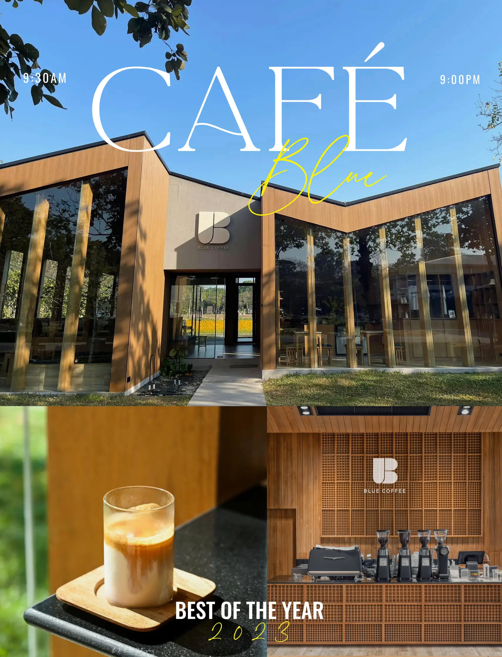 Blue coffee ใน ม.เชียงใหม่ | แกลเลอรีที่โพสต์โดย bora dec | Lemon8