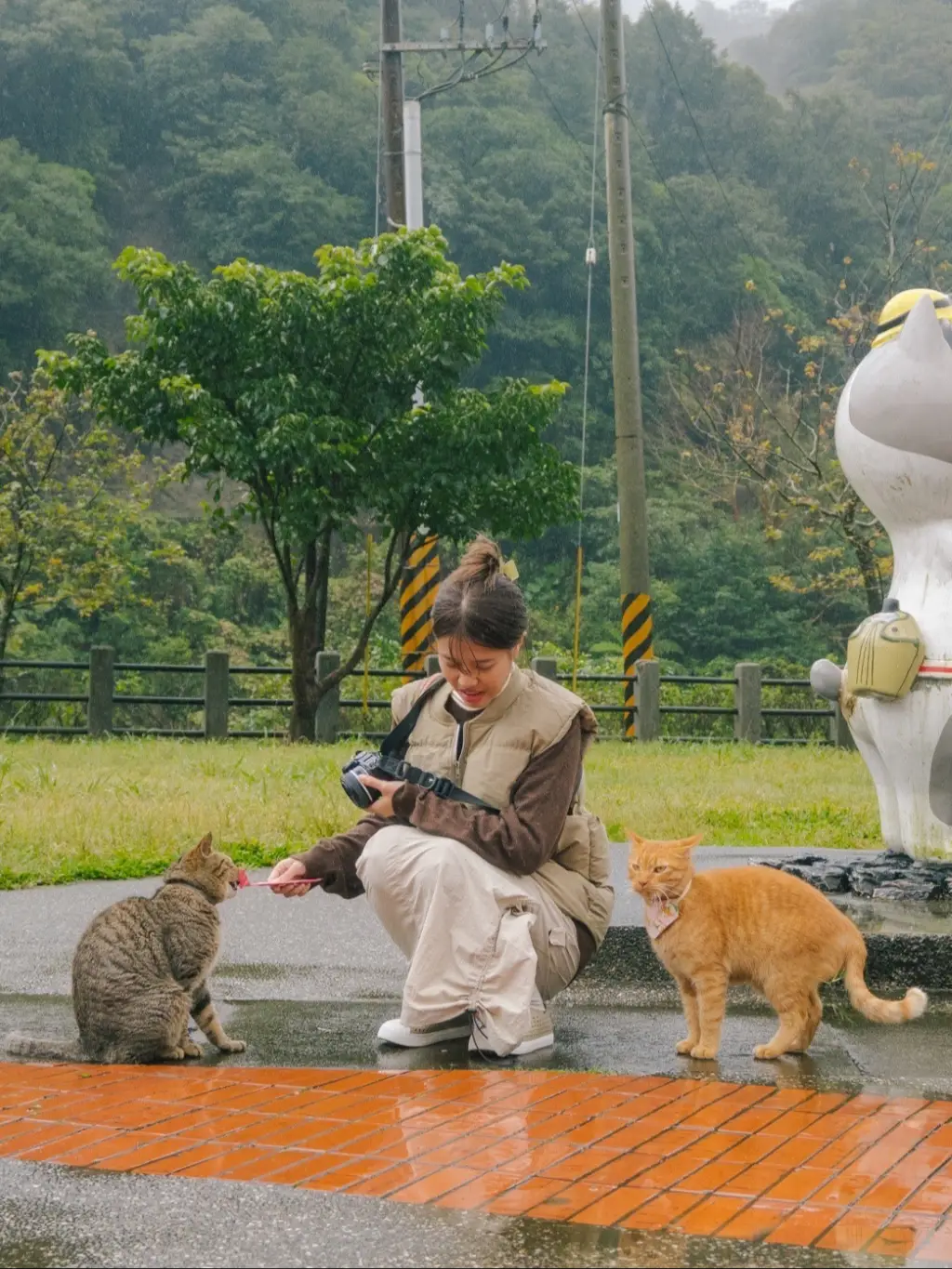 หมู่บ้านแมว ‘Houtong Cat Village’ #ไต้หวัน 🐈🇹🇼 | Gallery posted by lbzero | Lemon8
