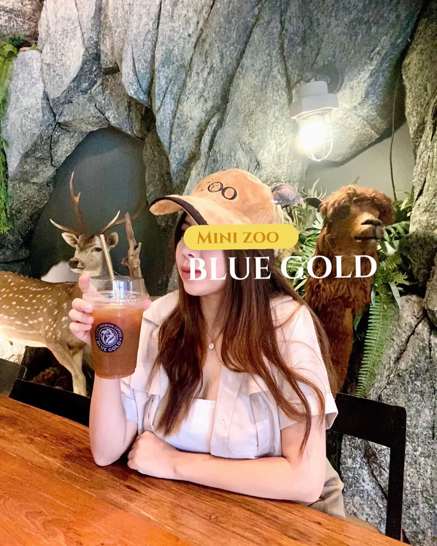 คาเฟ่สวนสัตว์ใกล้บ้าน🦊 | แกลเลอรีที่โพสต์โดย jxngksm | Lemon8