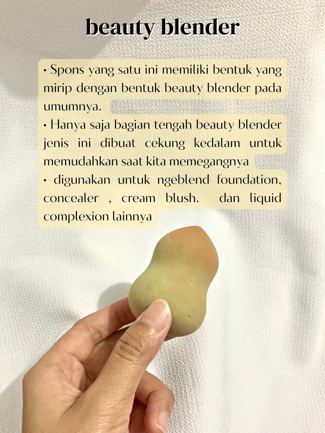 Macam-Macam Sponge Berdasarkan Kegunannya | Galeri diposting oleh Rahma ...