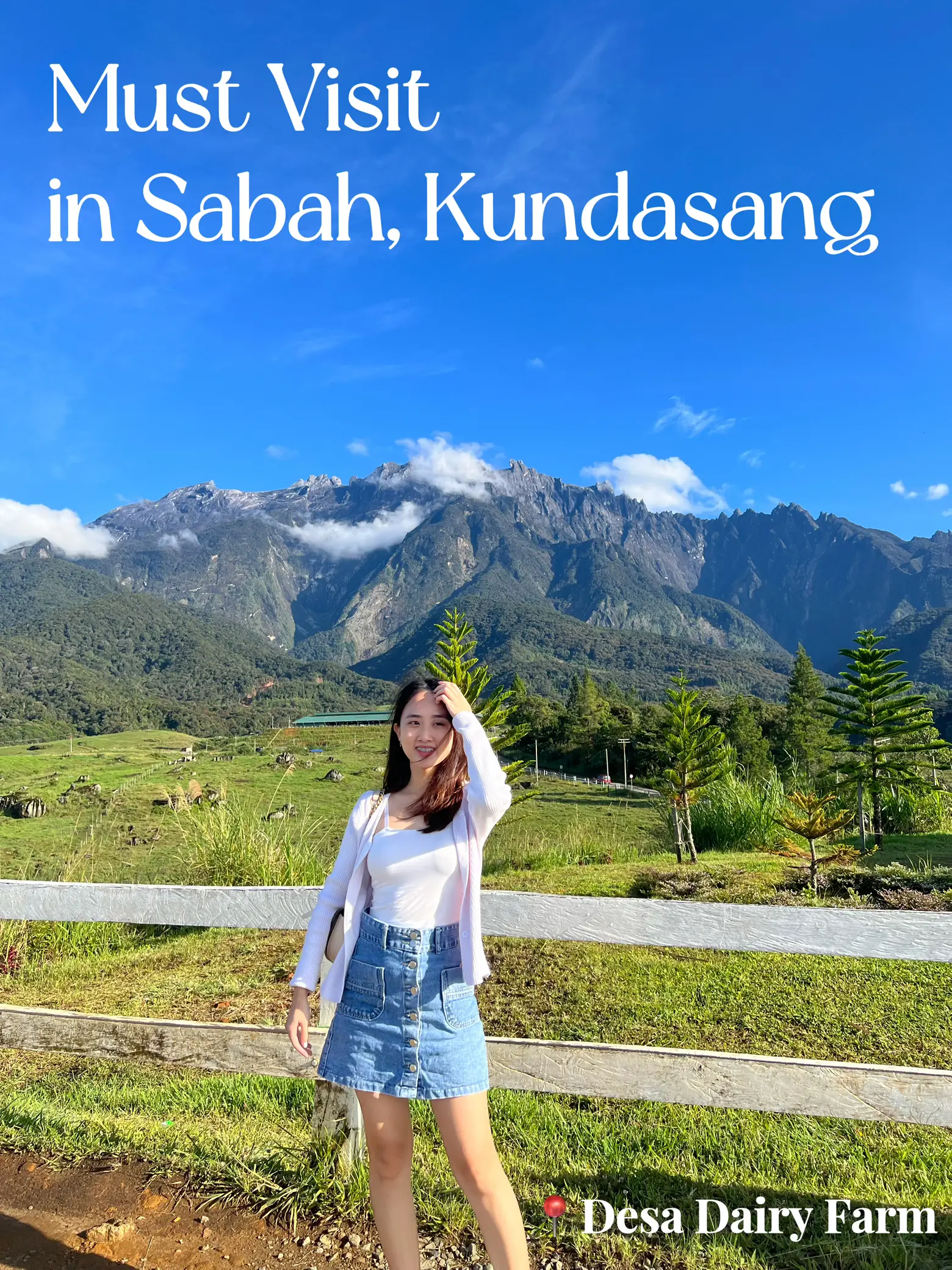 🇲🇾 Must Visit In Sabah,Kundasang | 📍Desa Dairy Farm | Galeri disiarkan oleh WanQing Yeo | Lemon8