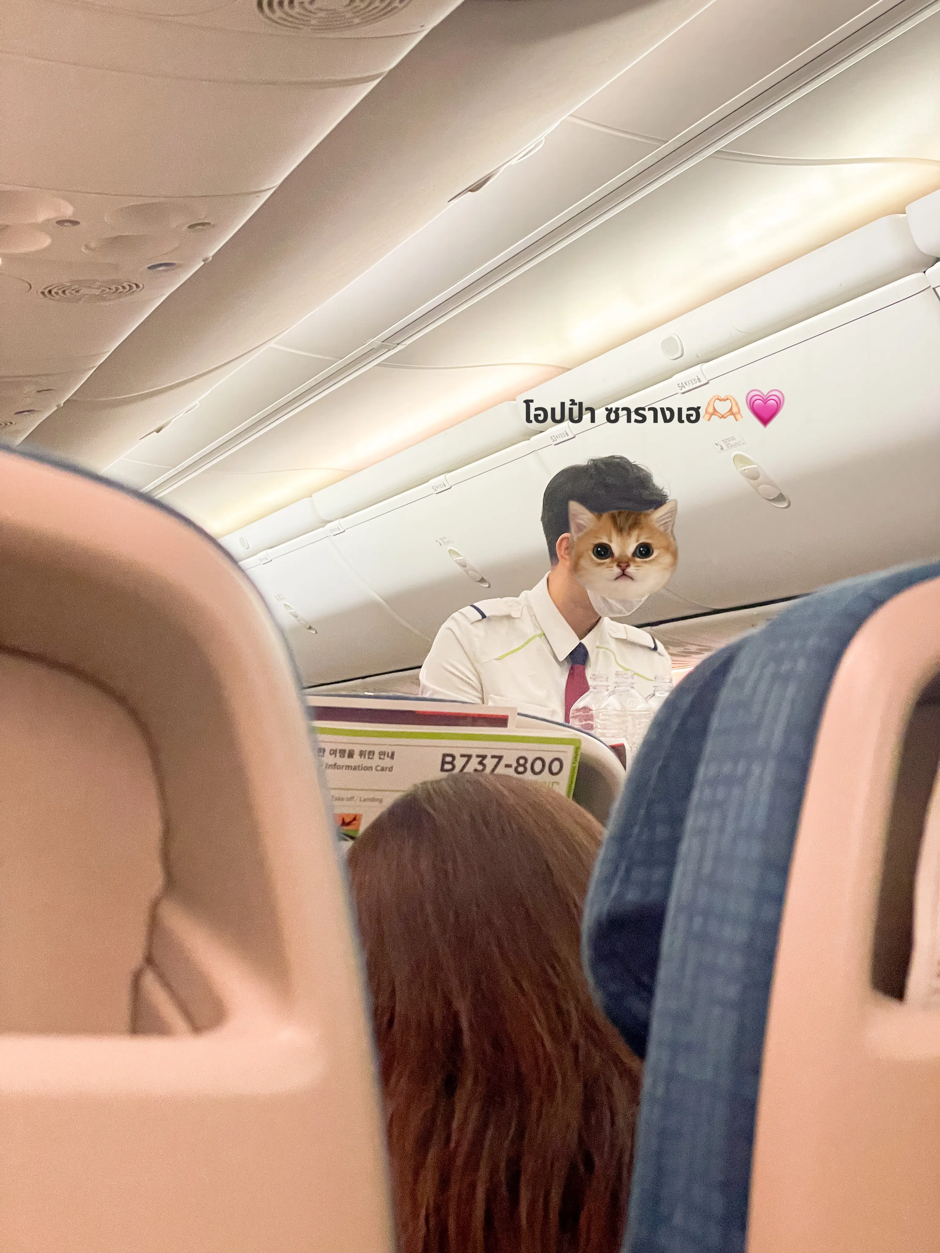 🇰🇷รีวิวบินไปเกาหลี 〰️สายการบิน Jin Air(จินแอร์)|BKK-ICN ️ | แกลเลอรีที่ ...